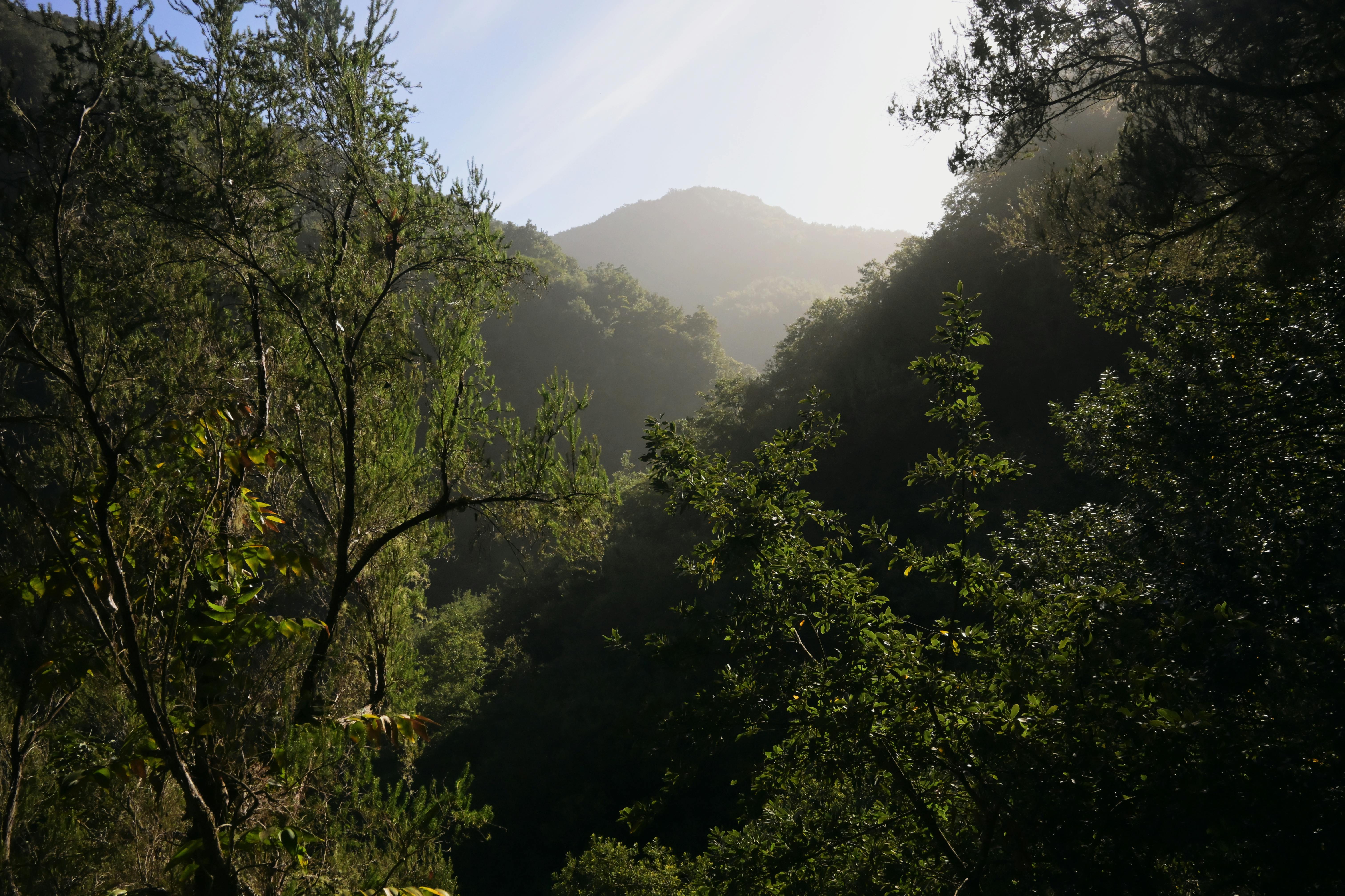 200.000+ beste Imgsrc.ru+park foto's · 100% gratis downloaden · Pexels ...