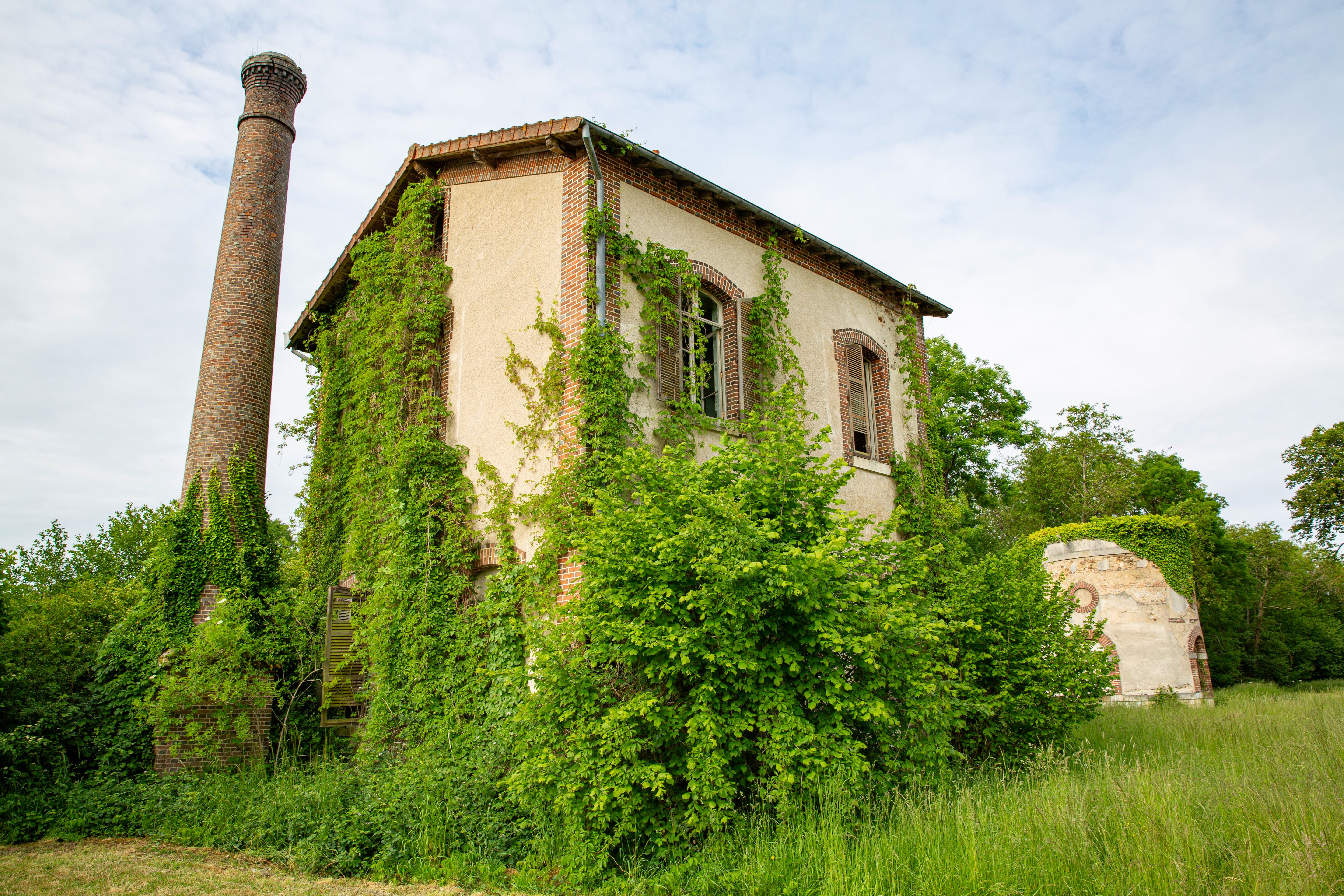 Abandoned Building with Ivy Overgrowth in France · Free Stock Photo