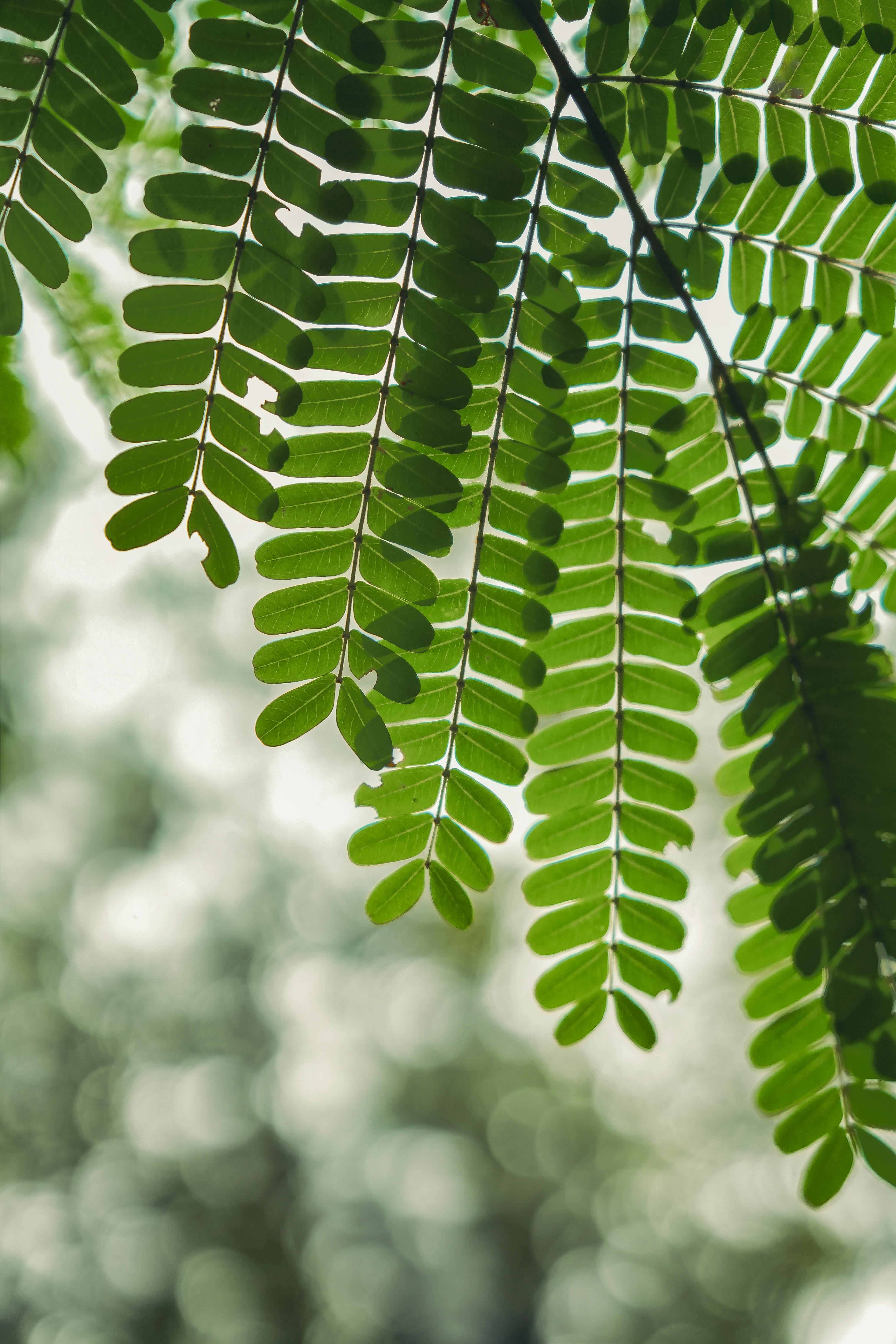 Adobe+Photoshop下載免費中文版 Photos, Download The BEST Free Adobe+Photoshop ...