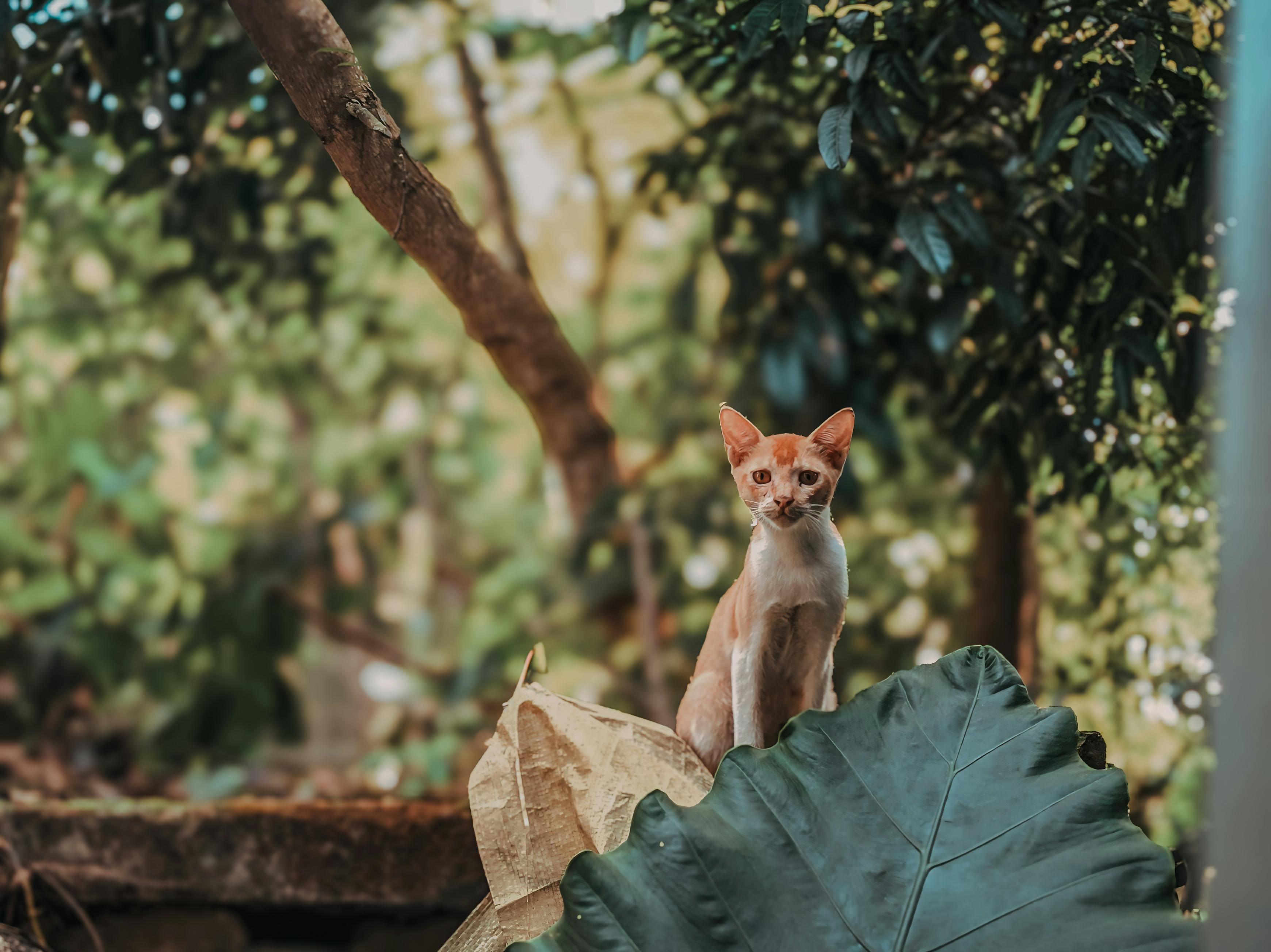 Background Without Blur Photos, Download The BEST Free Background ...