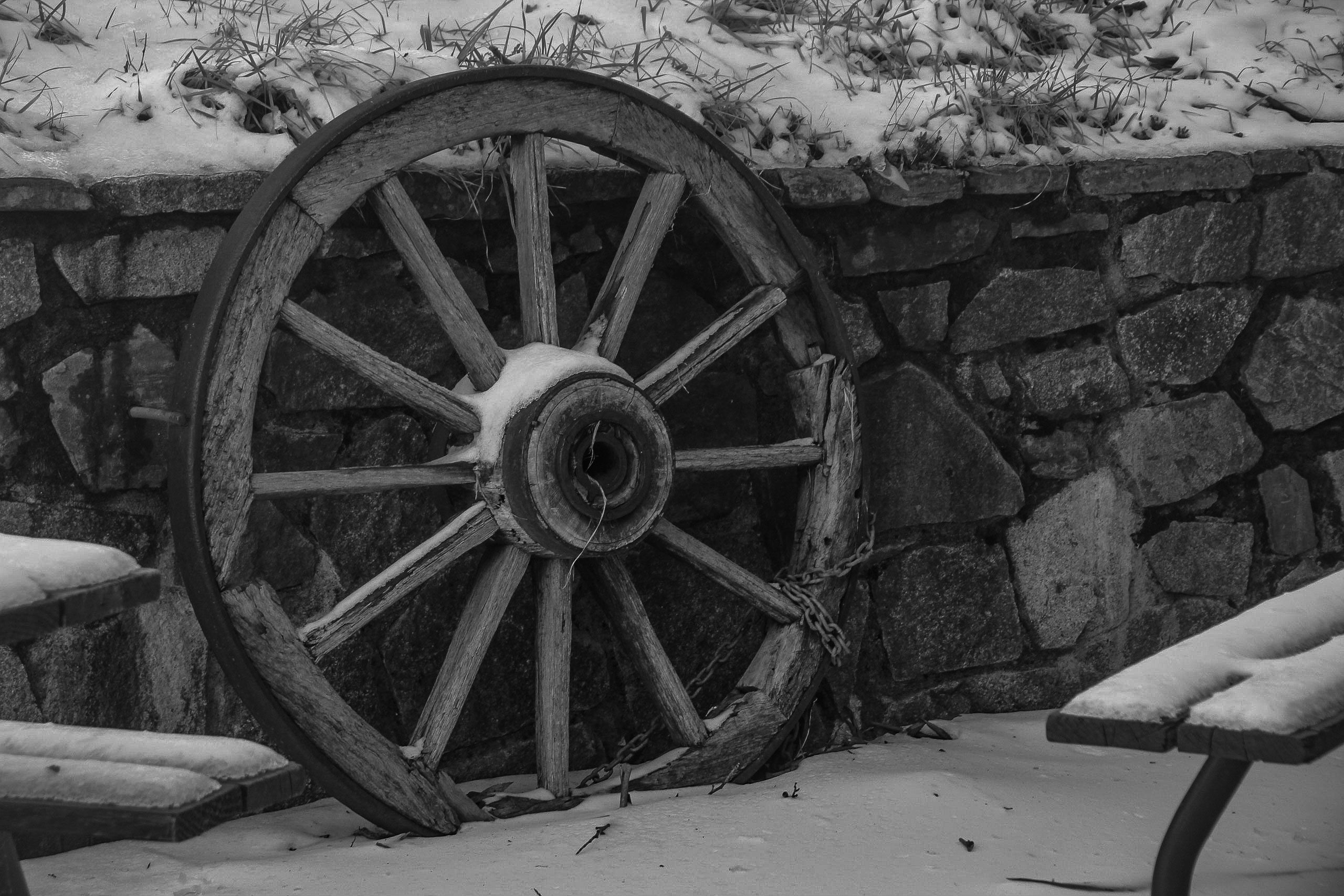 Wheel Patient Photos, Download The BEST Free Wheel Patient Stock Photos ...