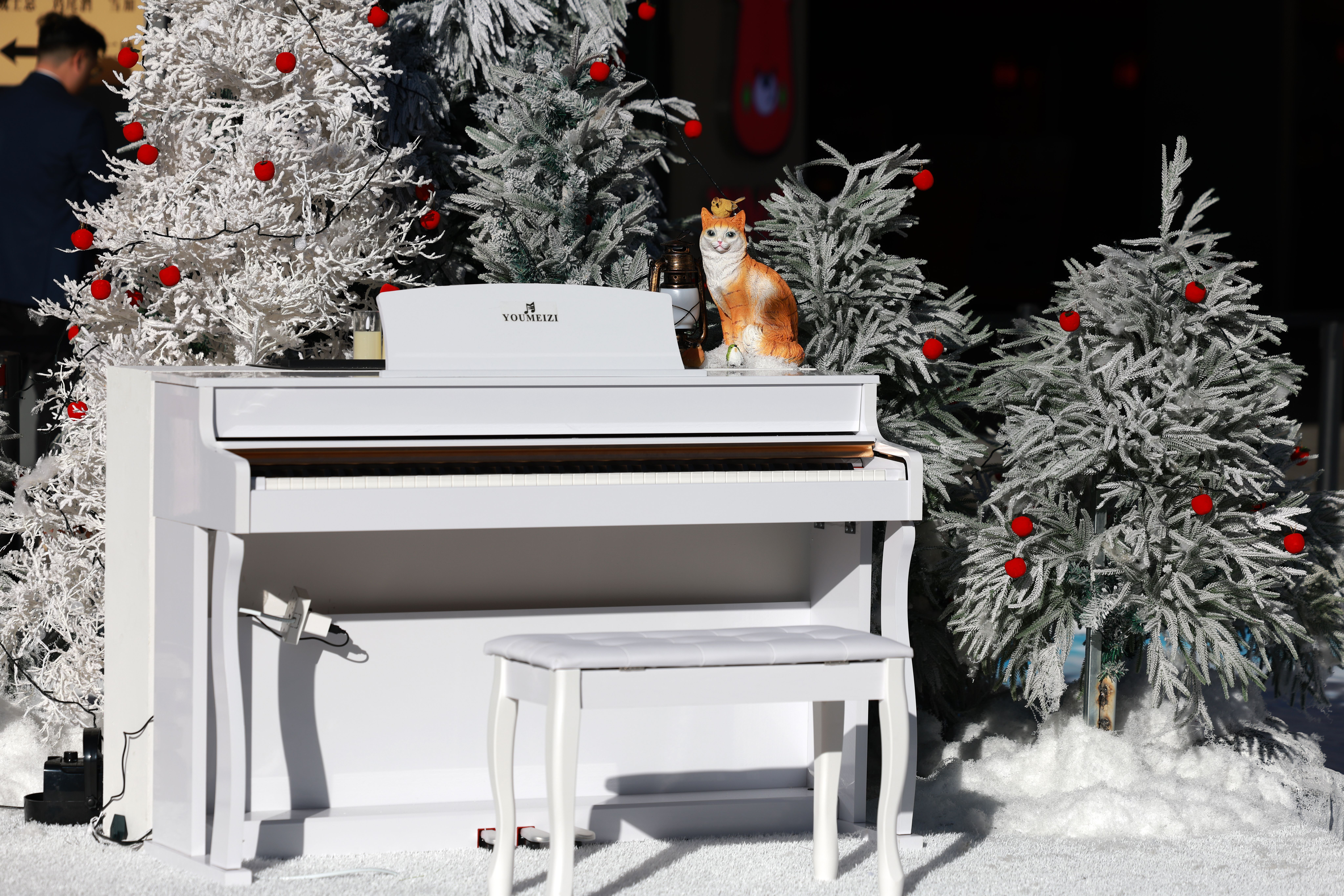 Winter Musician Photos, Download The BEST Free Winter Musician Stock ...