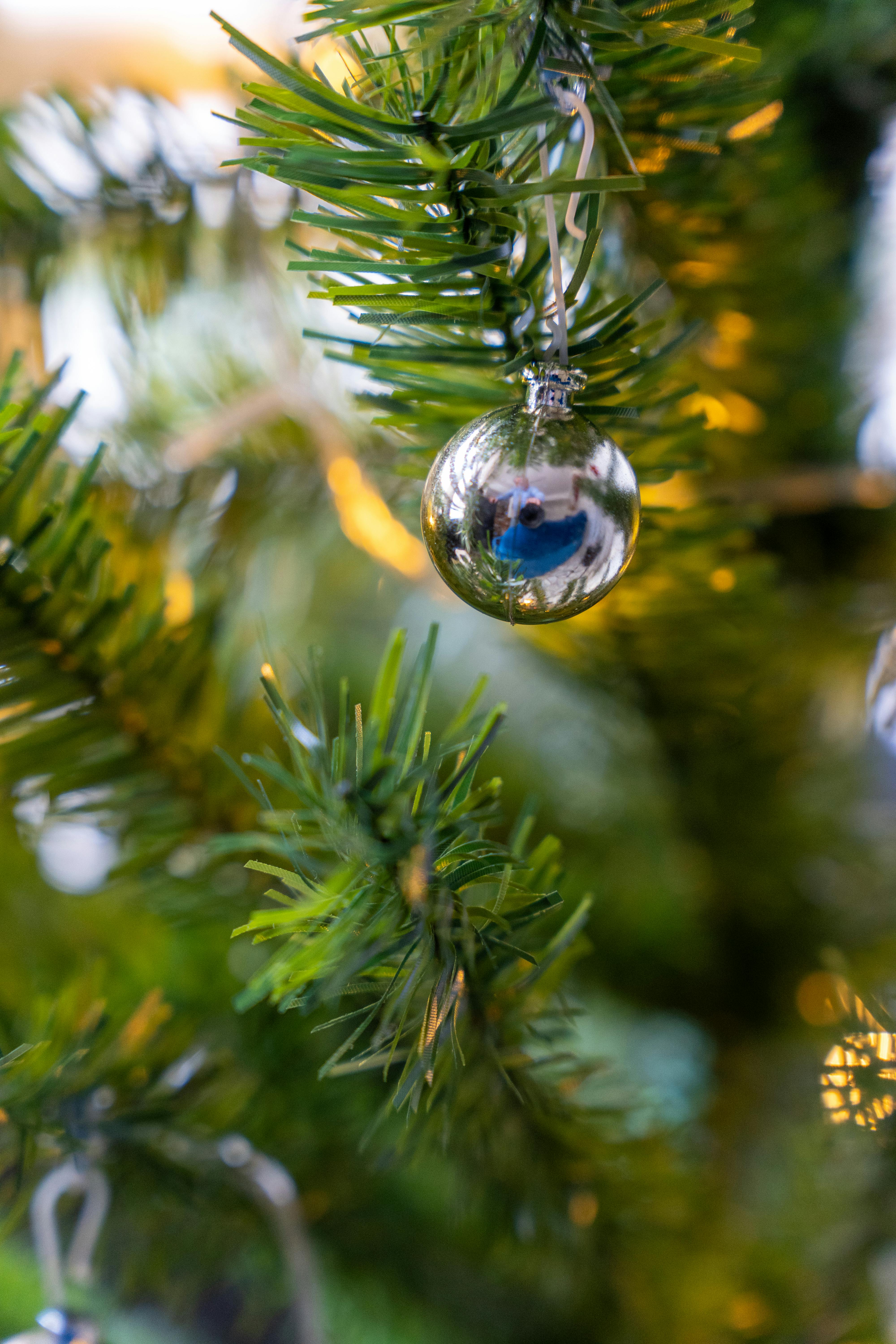 Silver+Kristall+Imx.To Photos, Download The BEST Free Silver+Kristall ...