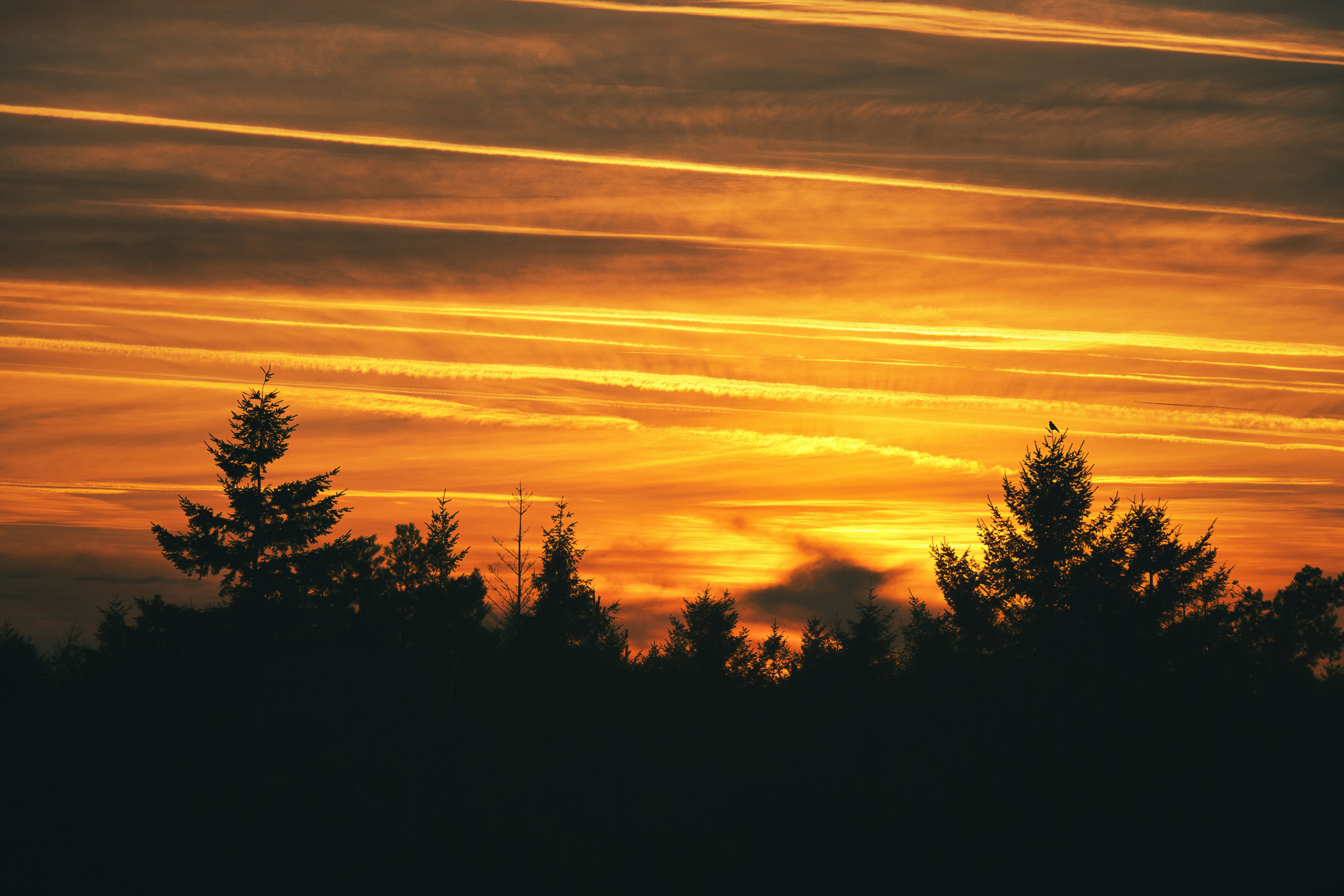 Volcanic+Sunrise+At+Lac+Abbe Photos, Download The BEST Free Volcanic ...
