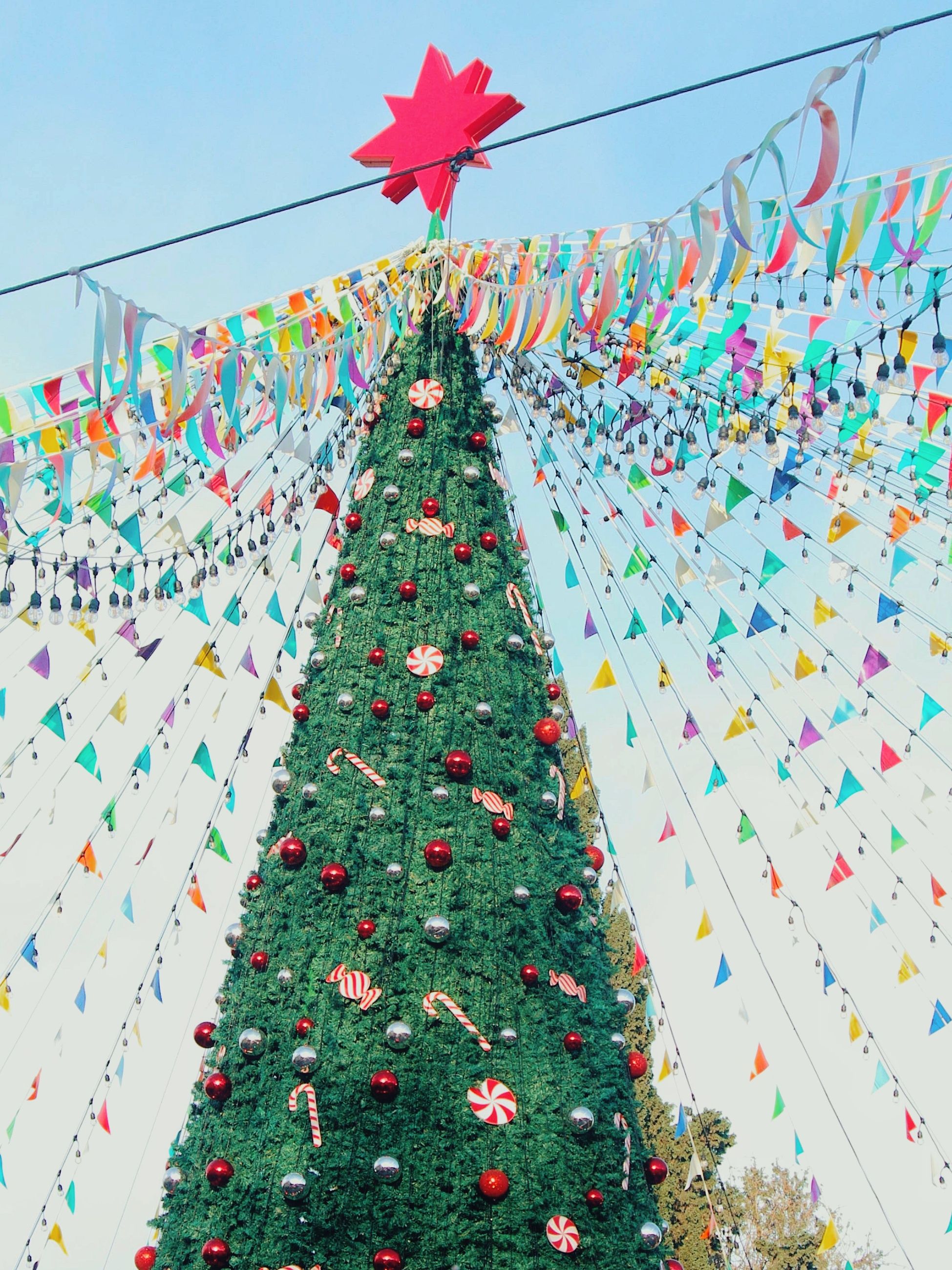 Festive Outdoor Christmas Tree with Colorful Banners · Free Stock Photo