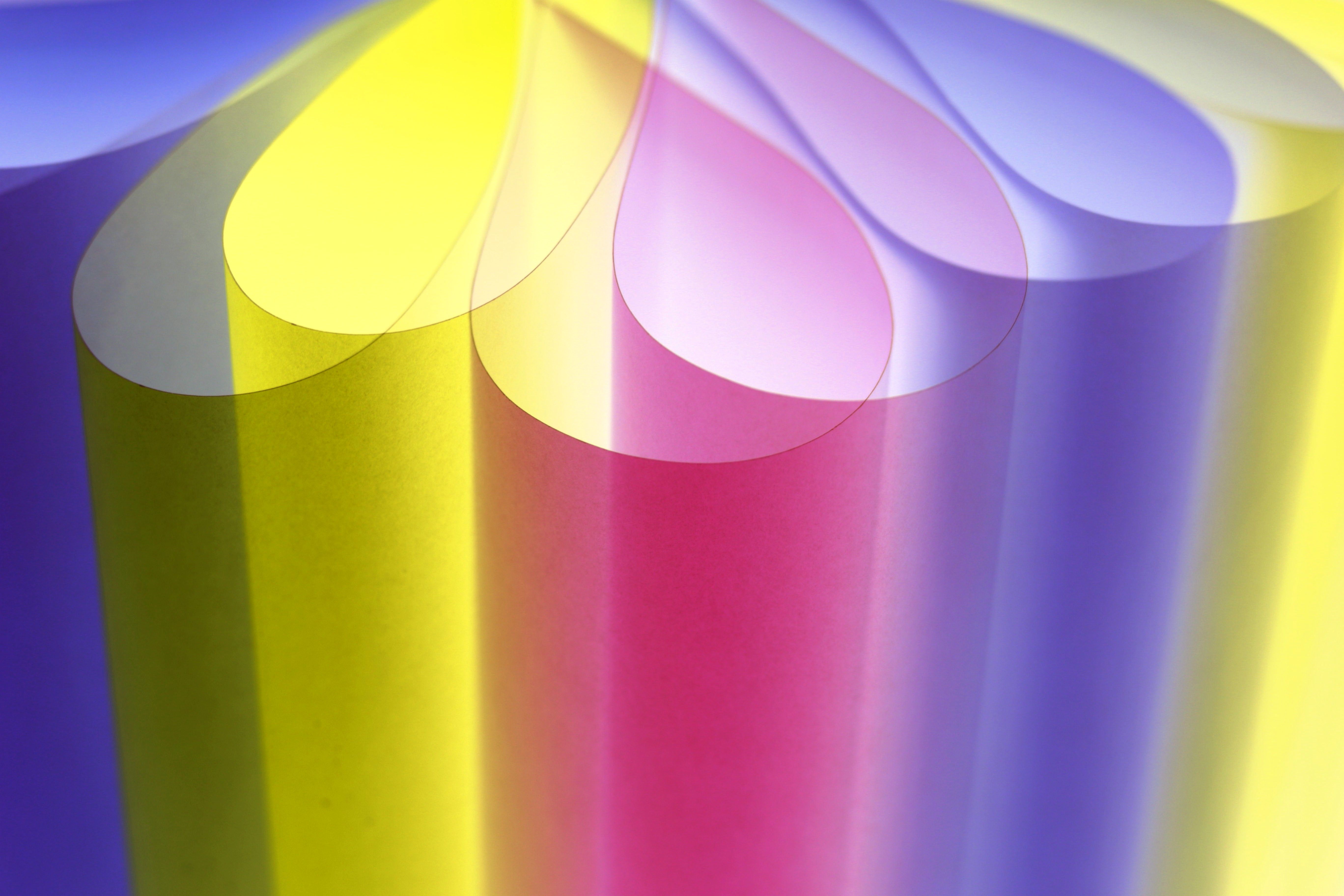 Vibrant Abstract Curves of Colored Paper · Free Stock Photo