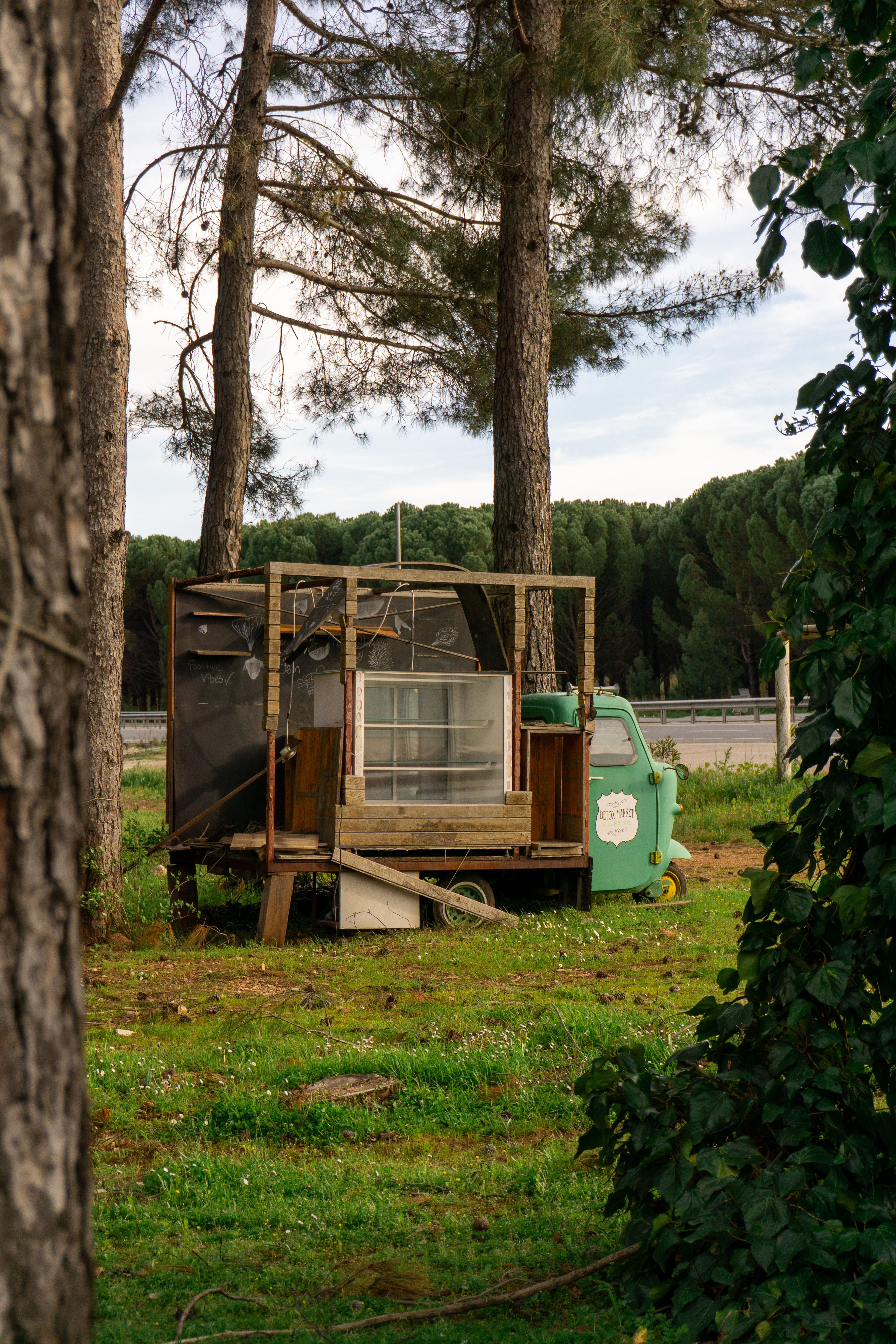 Rustic Wooden Hut in Forest Setting · Free Stock Photo