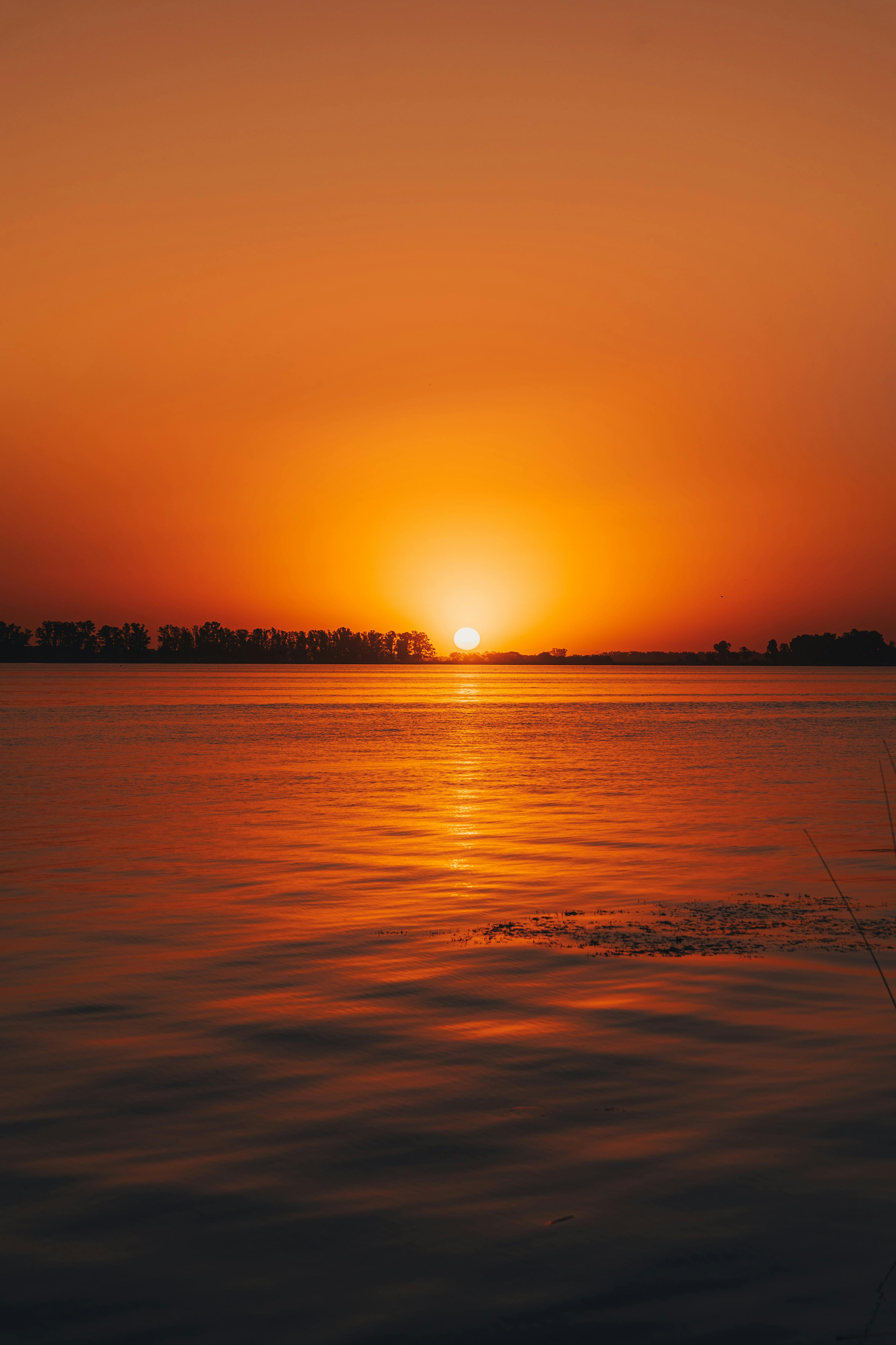 Xxxxxxxx Mont Photos, Download The BEST Free Xxxxxxxx Mont Stock Photos ...