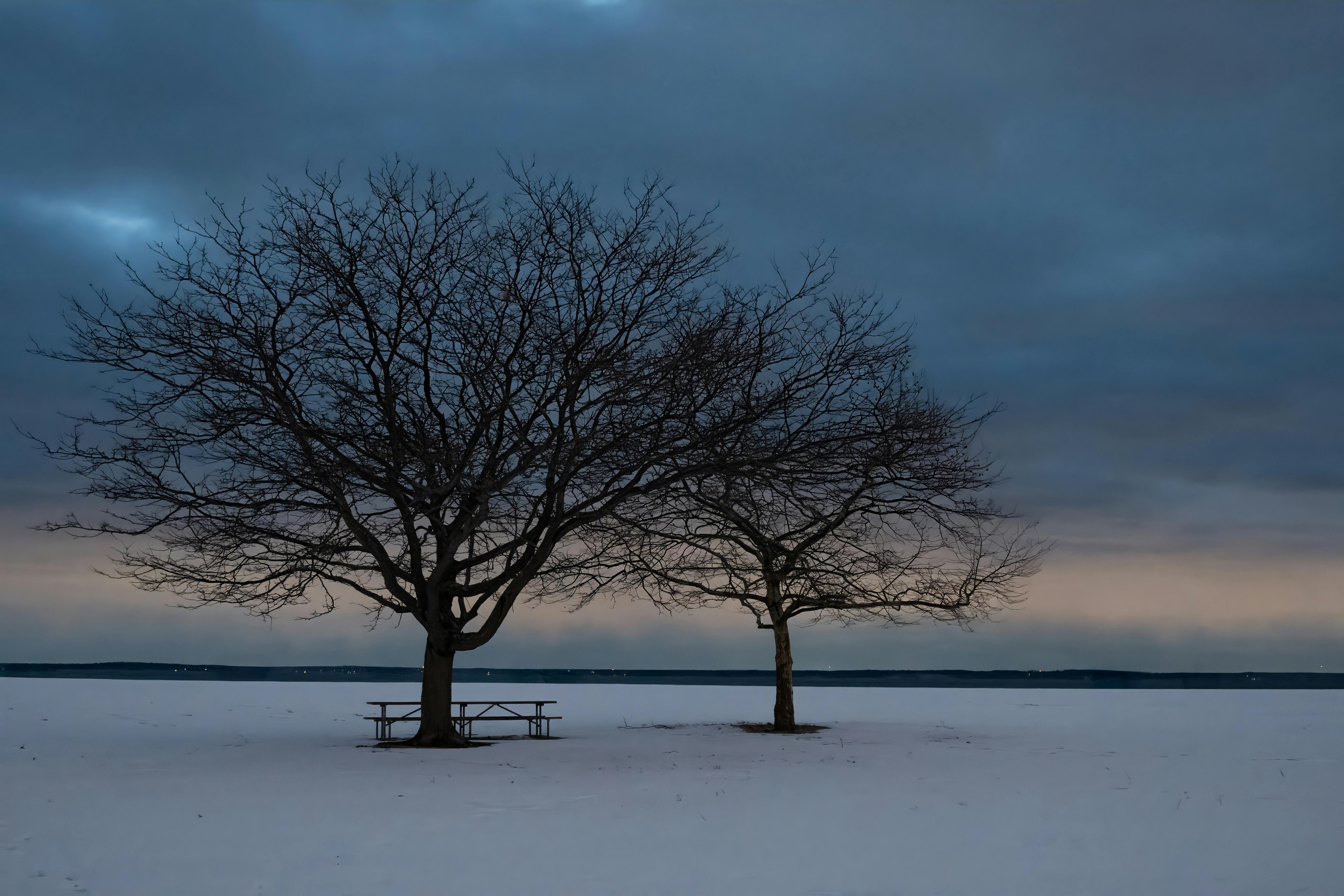 Ice Ilustrasi Photos, Download The BEST Free Ice Ilustrasi Stock Photos ...