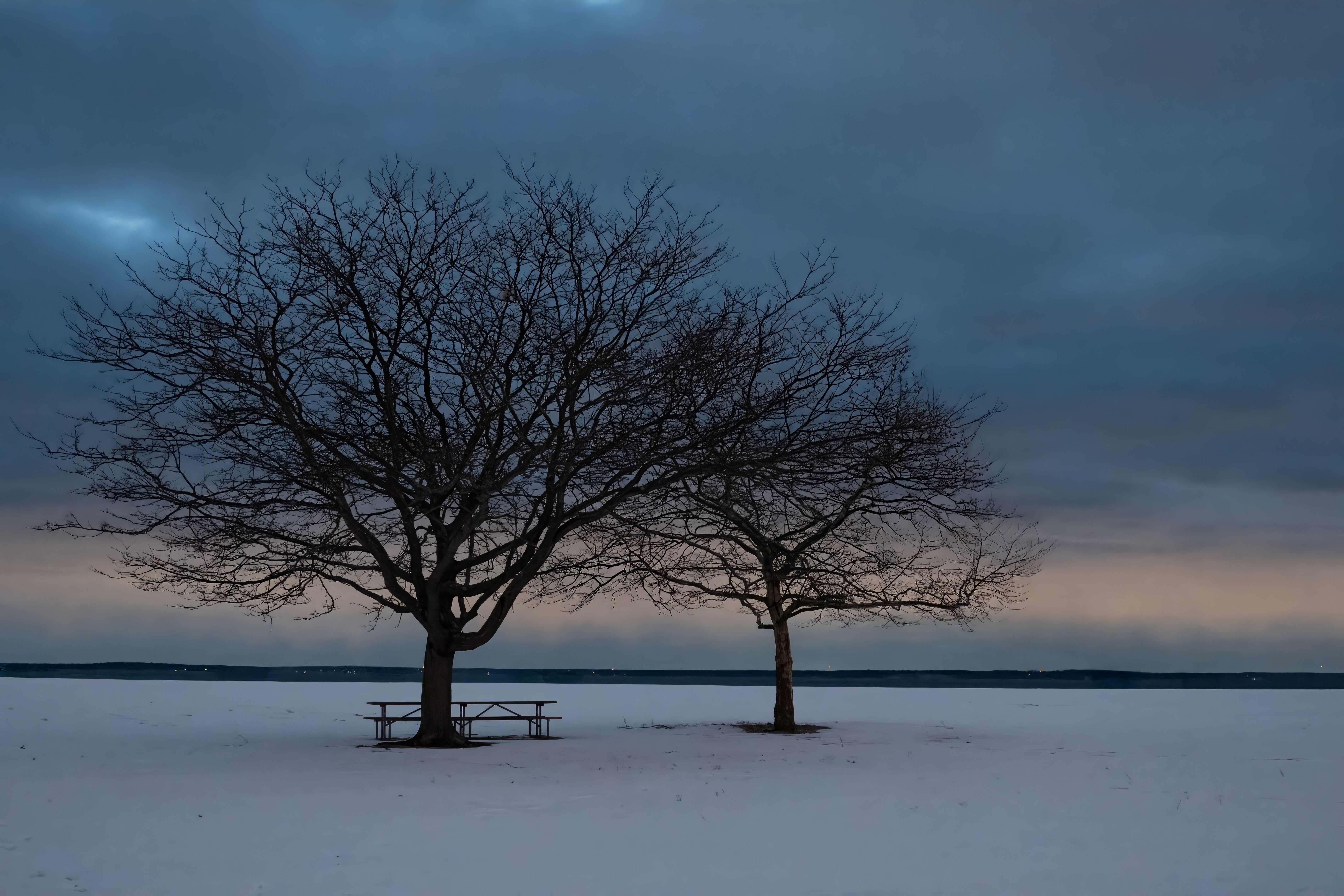 Tranquil Winter Landscape in Stamford Park · Free Stock Photo