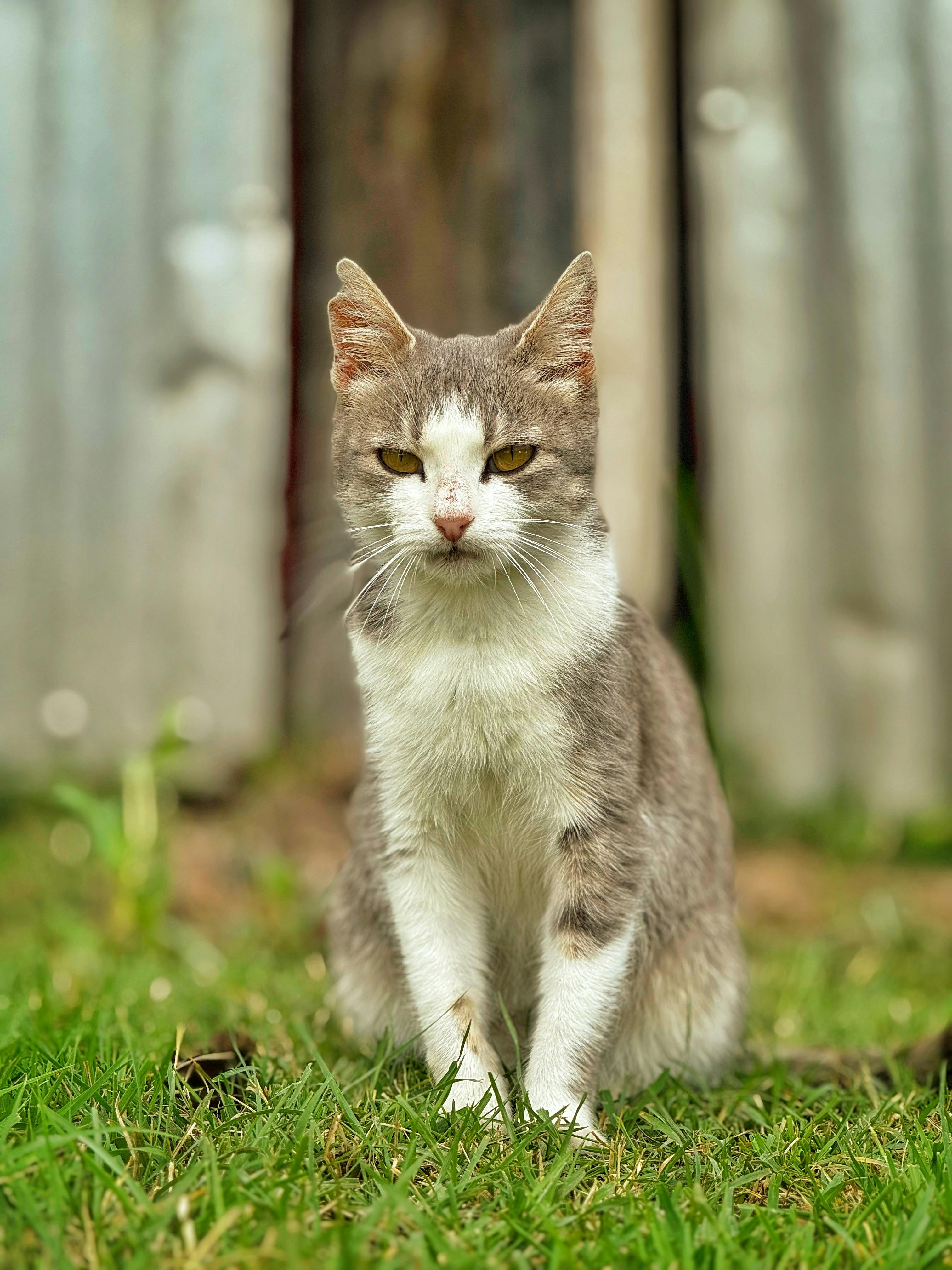 Curiosity Photos, Download The BEST Free Curiosity Stock Photos & HD Images