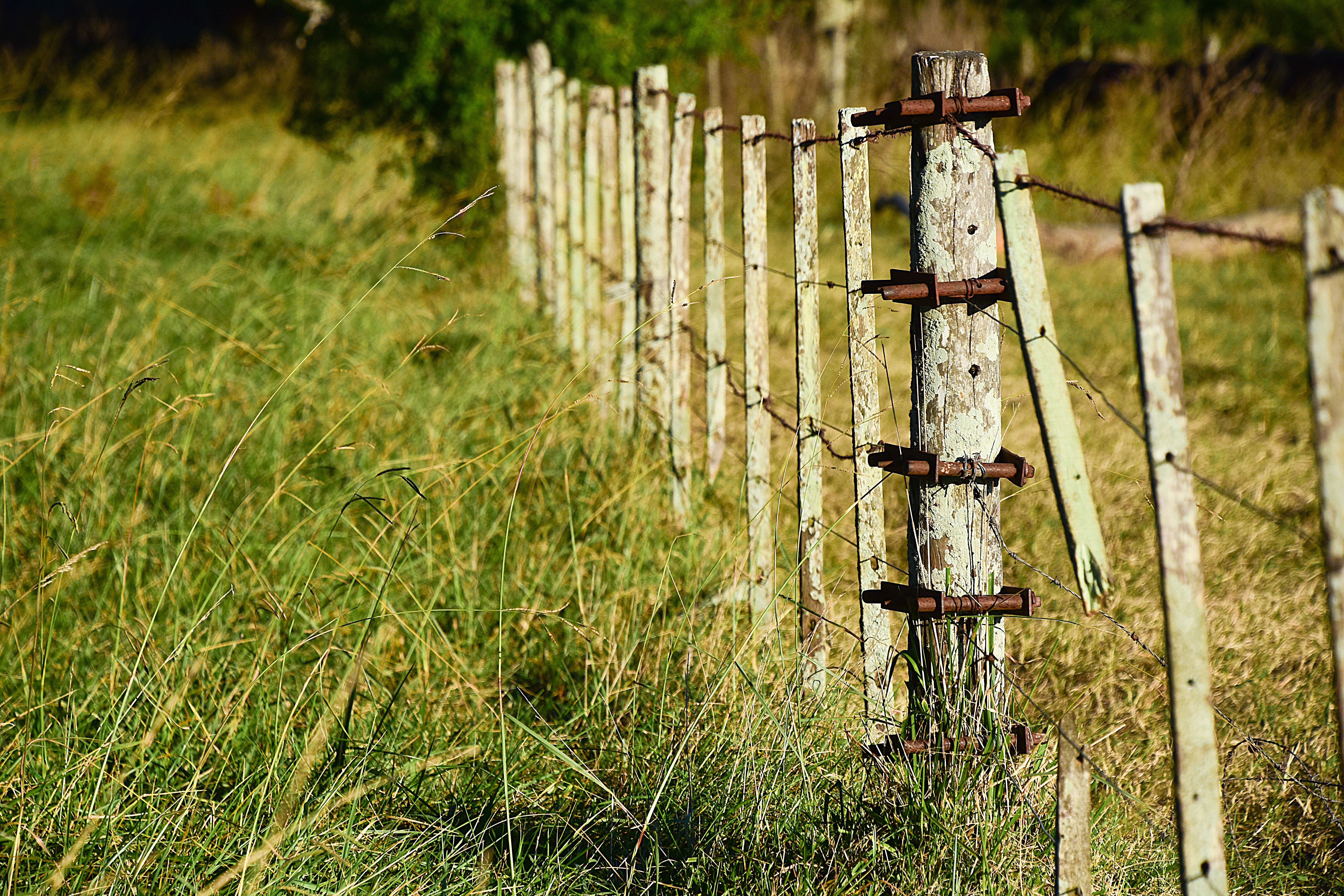 Cerca Rústica De Arame Farpado Em Um Campo De La Plata · Foto ...
