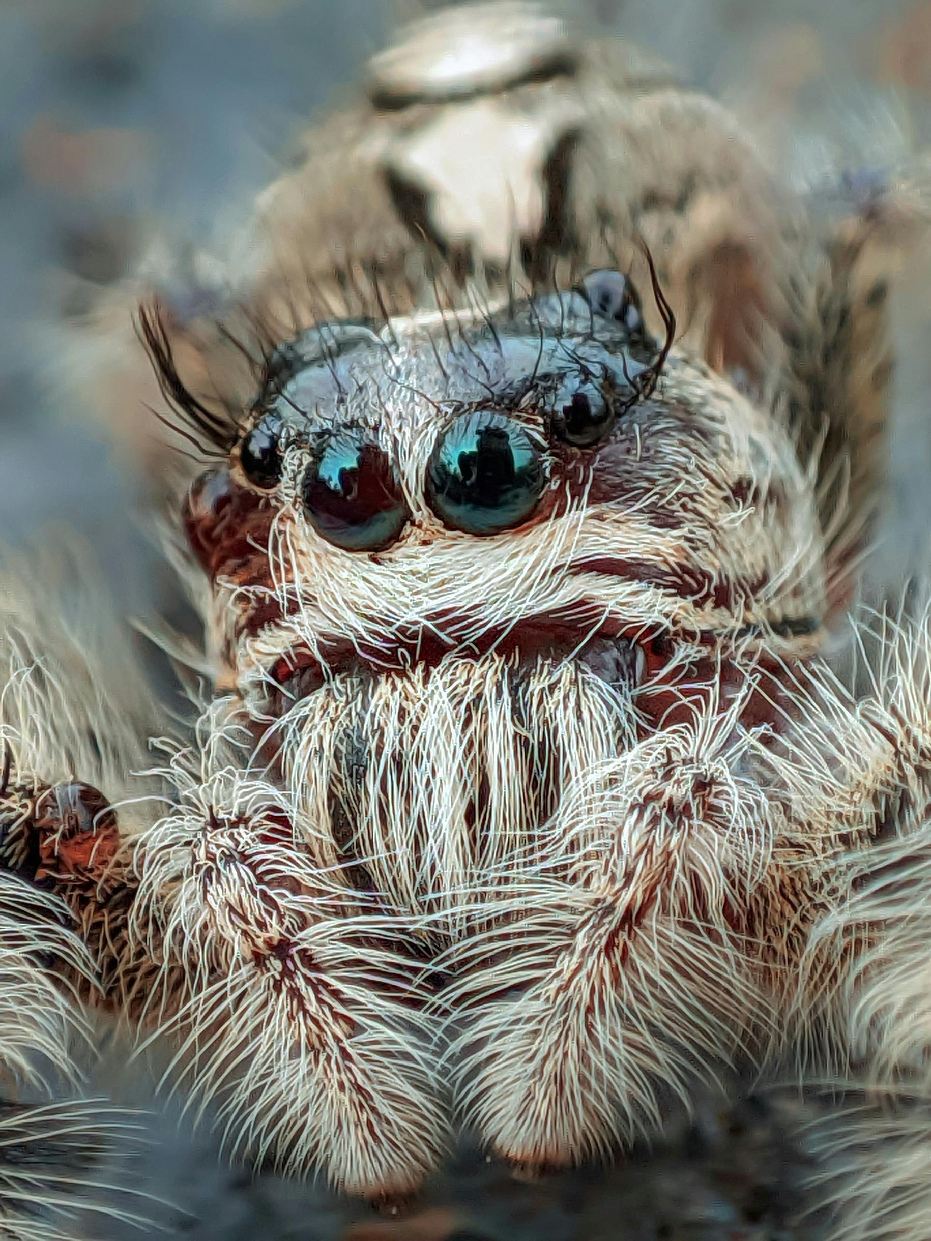 300.000+ melhores imagens de Xyz-nn-miniature-models · Download 100% ...