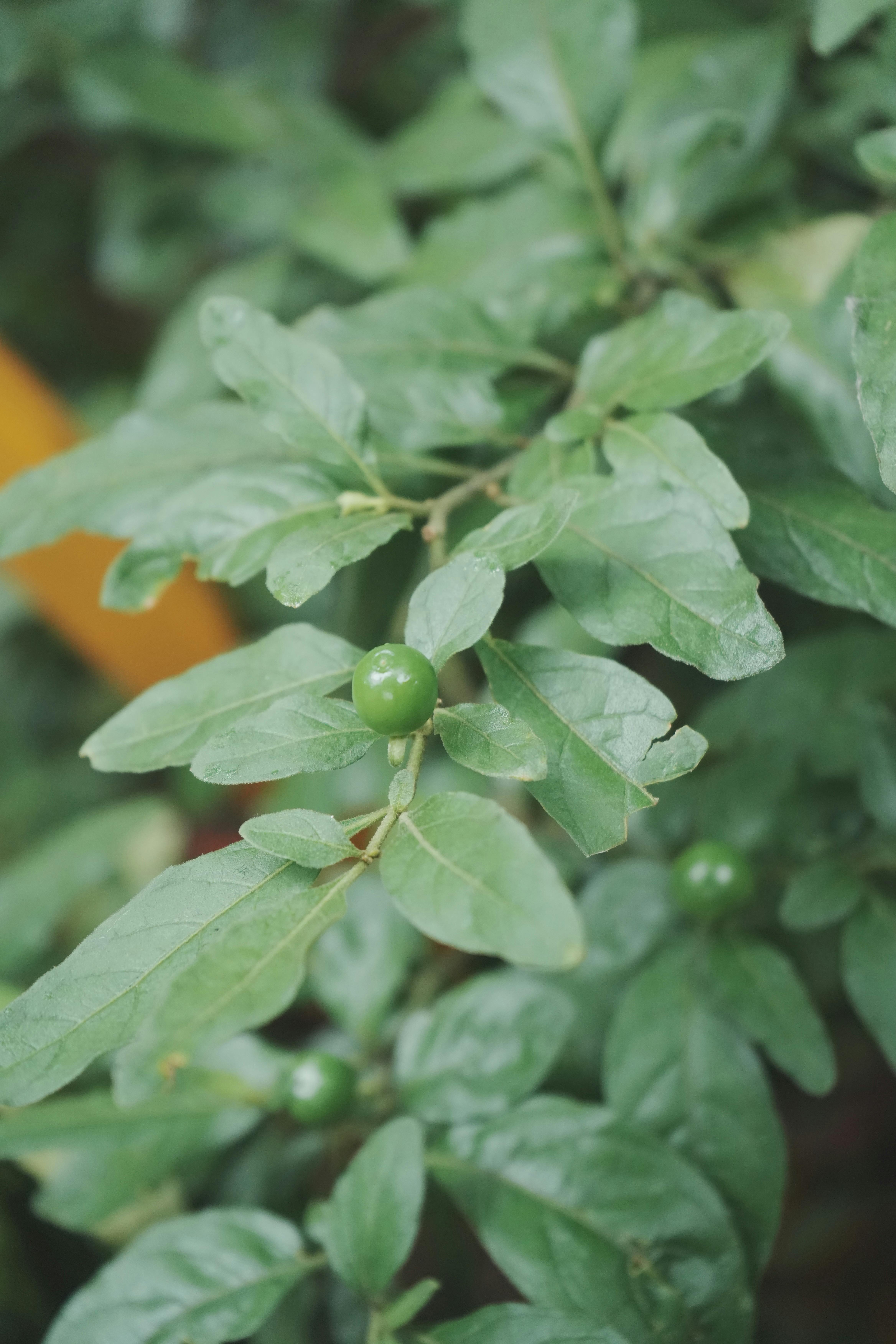 Image+Tv.Apple.Com Photos, Download The BEST Free Image+Tv.Apple.Com ...