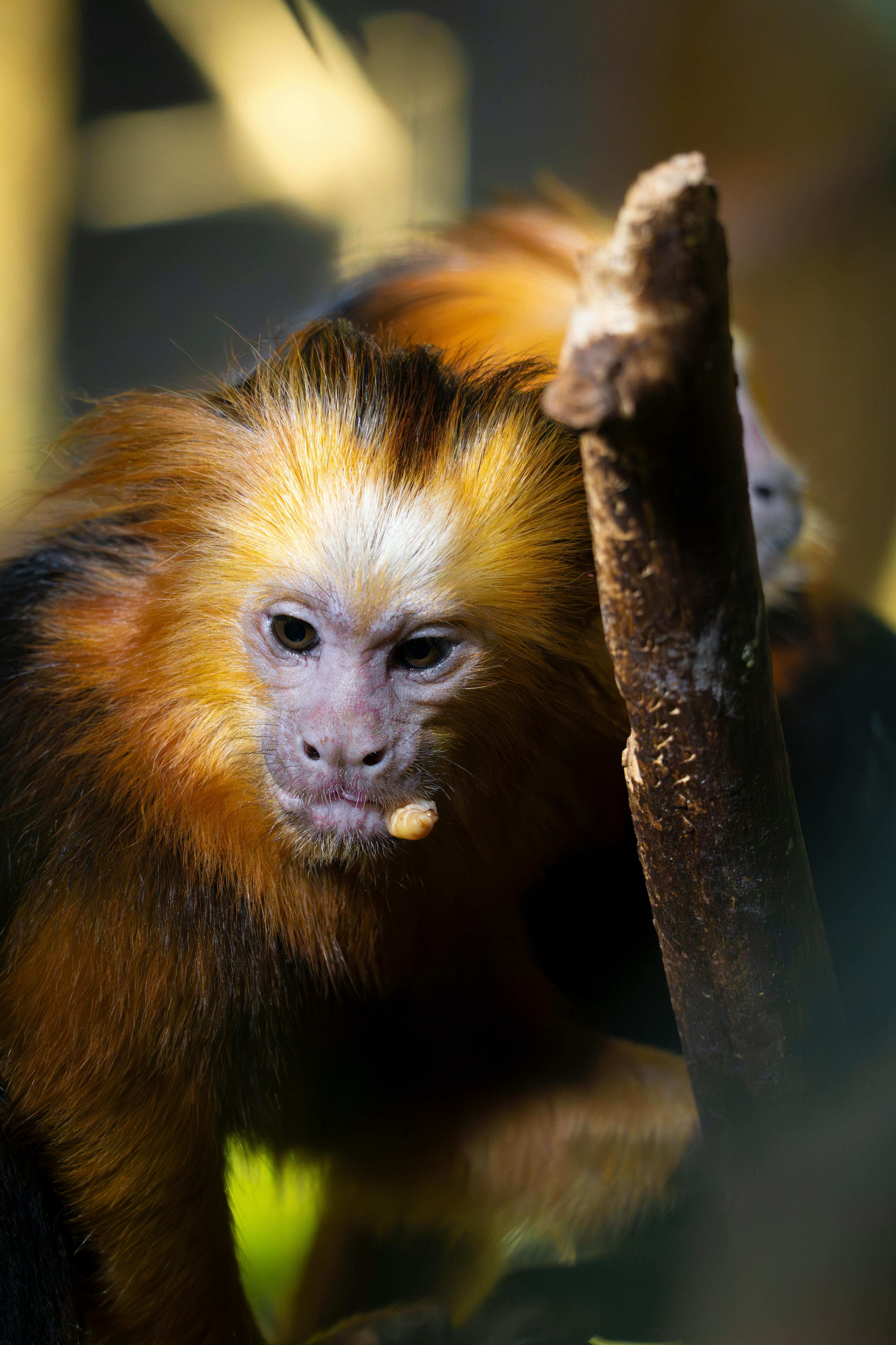 Behavior Photos, Download The BEST Free Behavior Stock Photos & HD Images