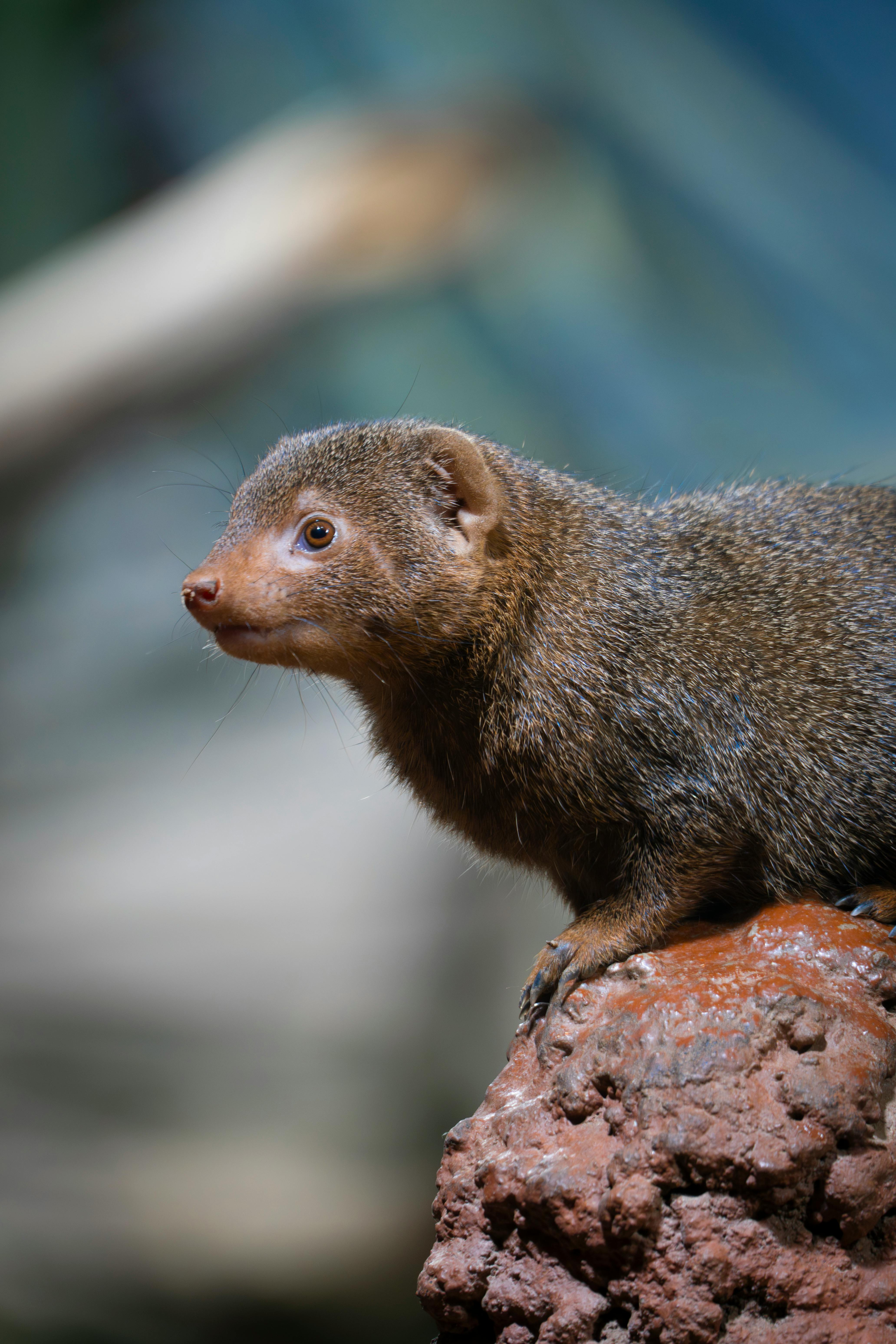 Profile Avatars Photos, Download The BEST Free Profile Avatars Stock ...