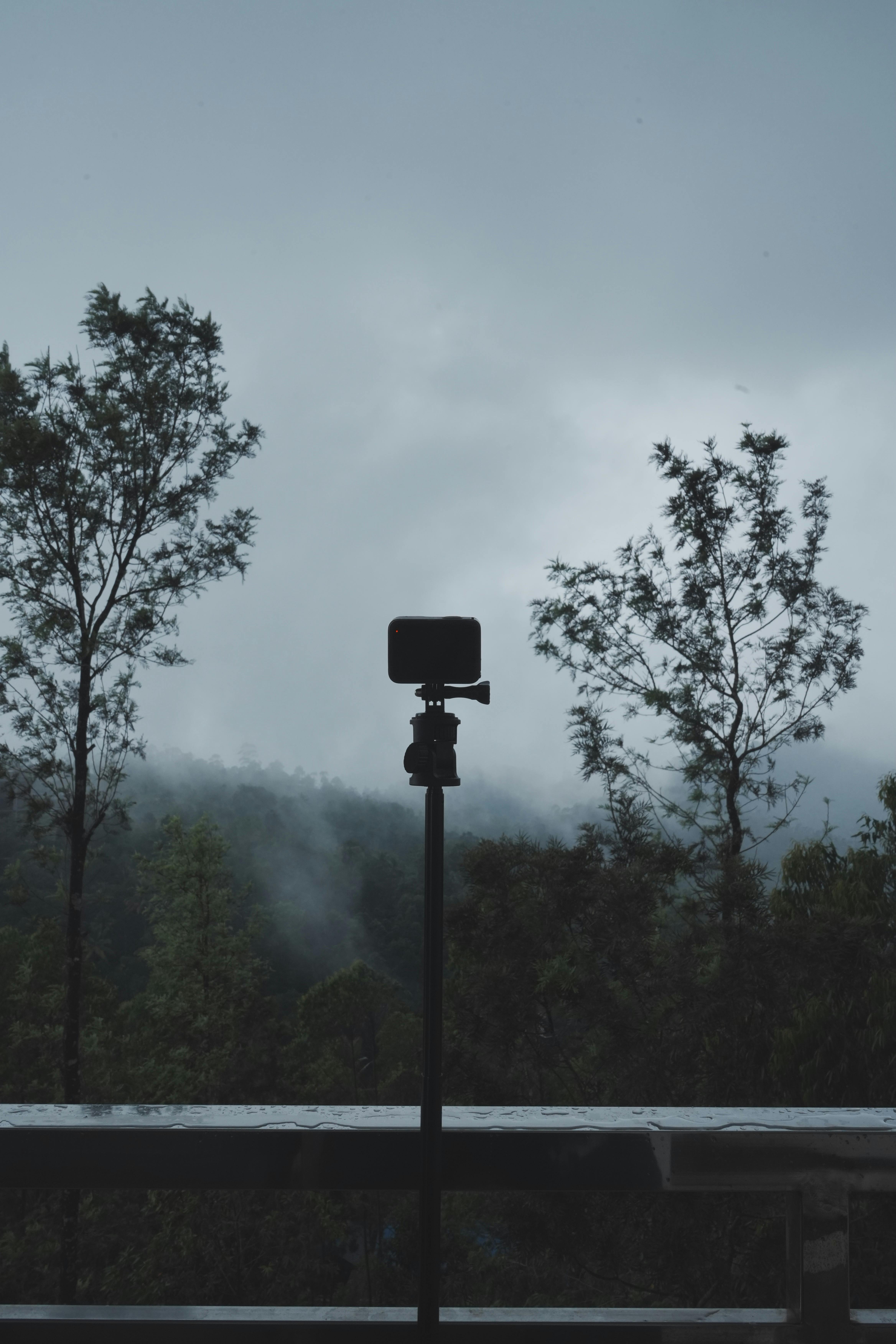 Dounload+Loyalfans+Videos Photos, Download The BEST Free Dounload ...