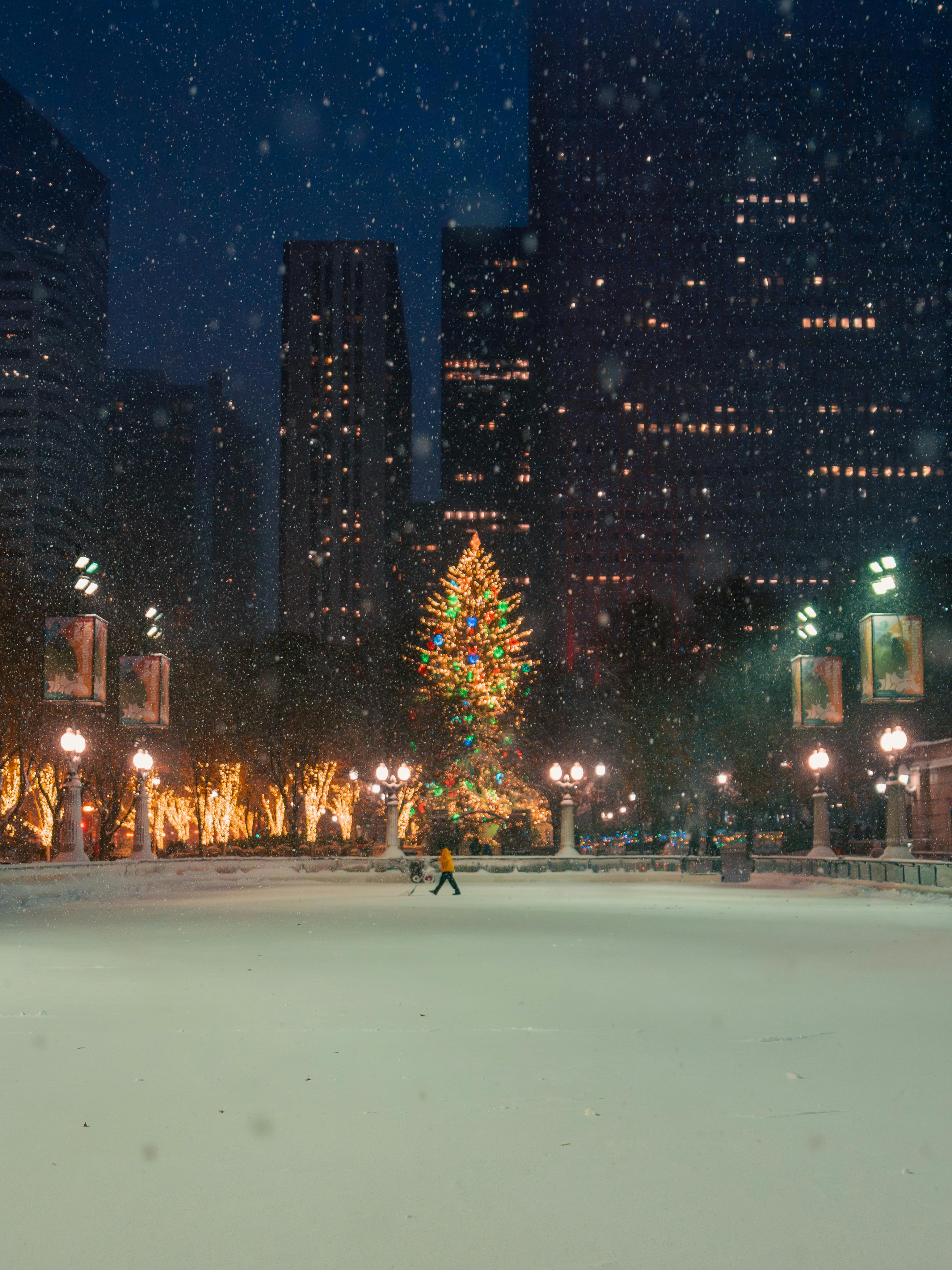 5.000+ beste 2025+стаж foto's · 100% gratis downloaden · Pexels-stockfoto's