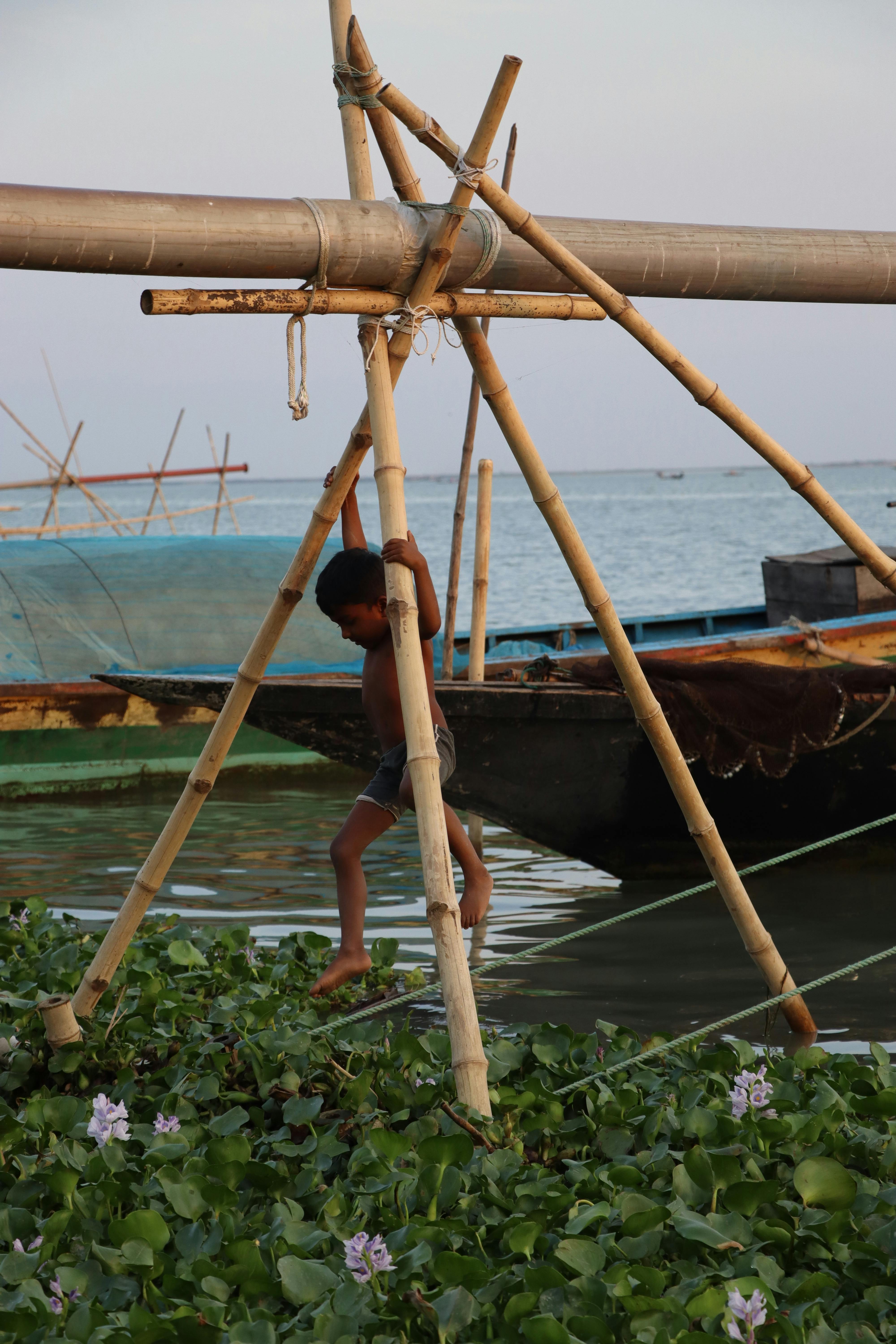 Traditional Chekka Ganuga Photos, Download The BEST Free Traditional ...