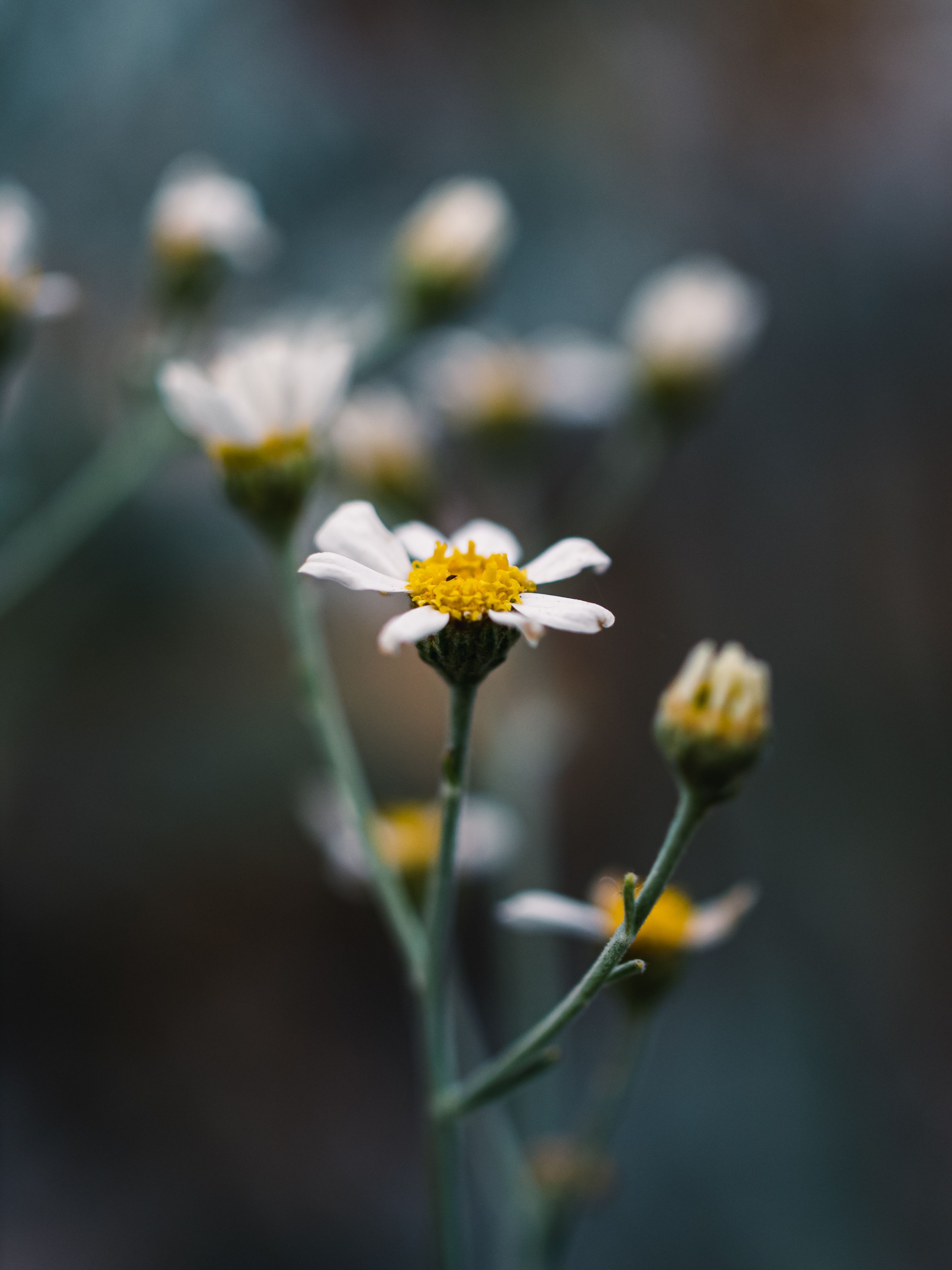 Non+Blurry+Computer+Wallpapers Photos, Download The BEST Free Non ...