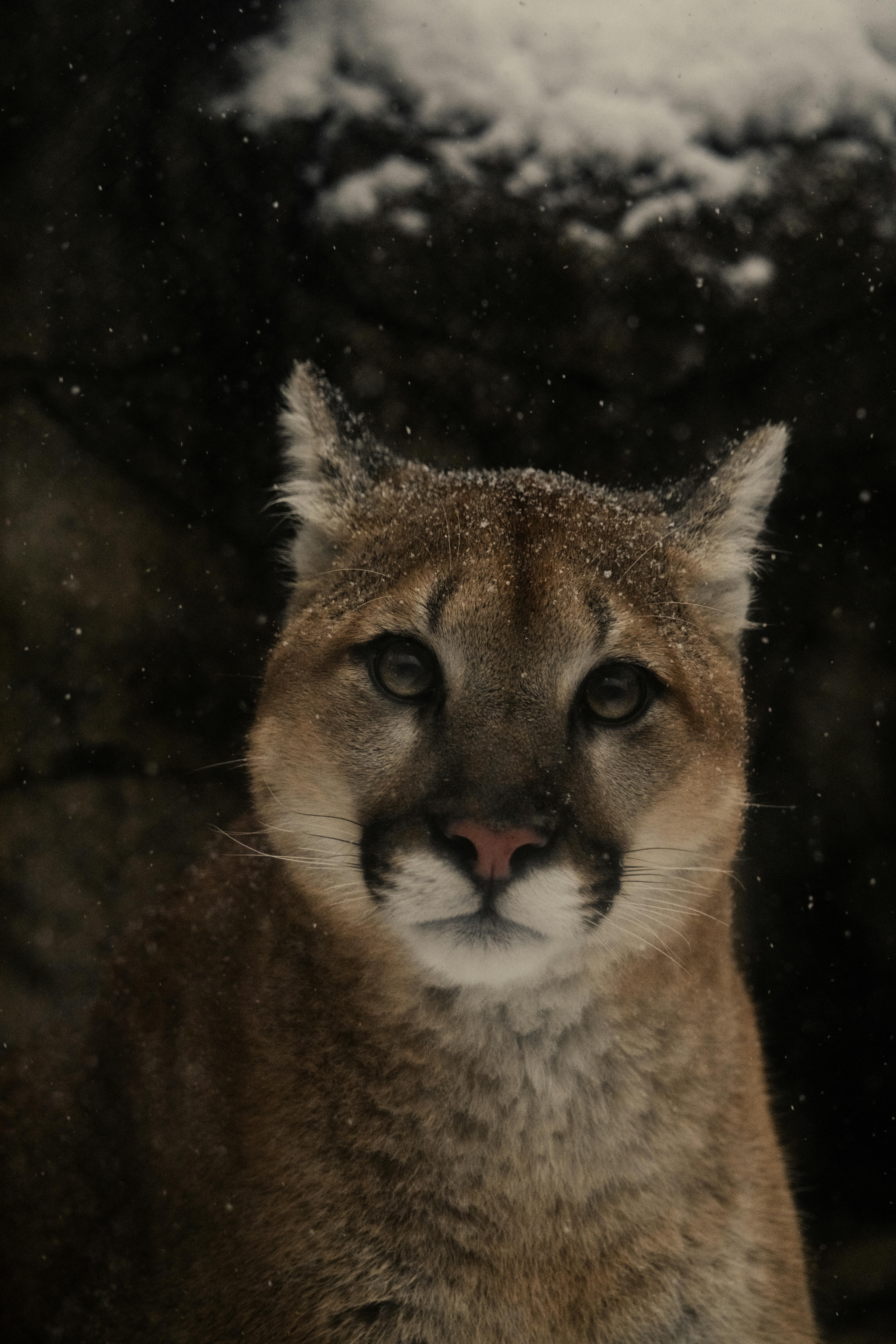 Marvel Wallpapers For Pc Photos, Download The BEST Free Marvel ...