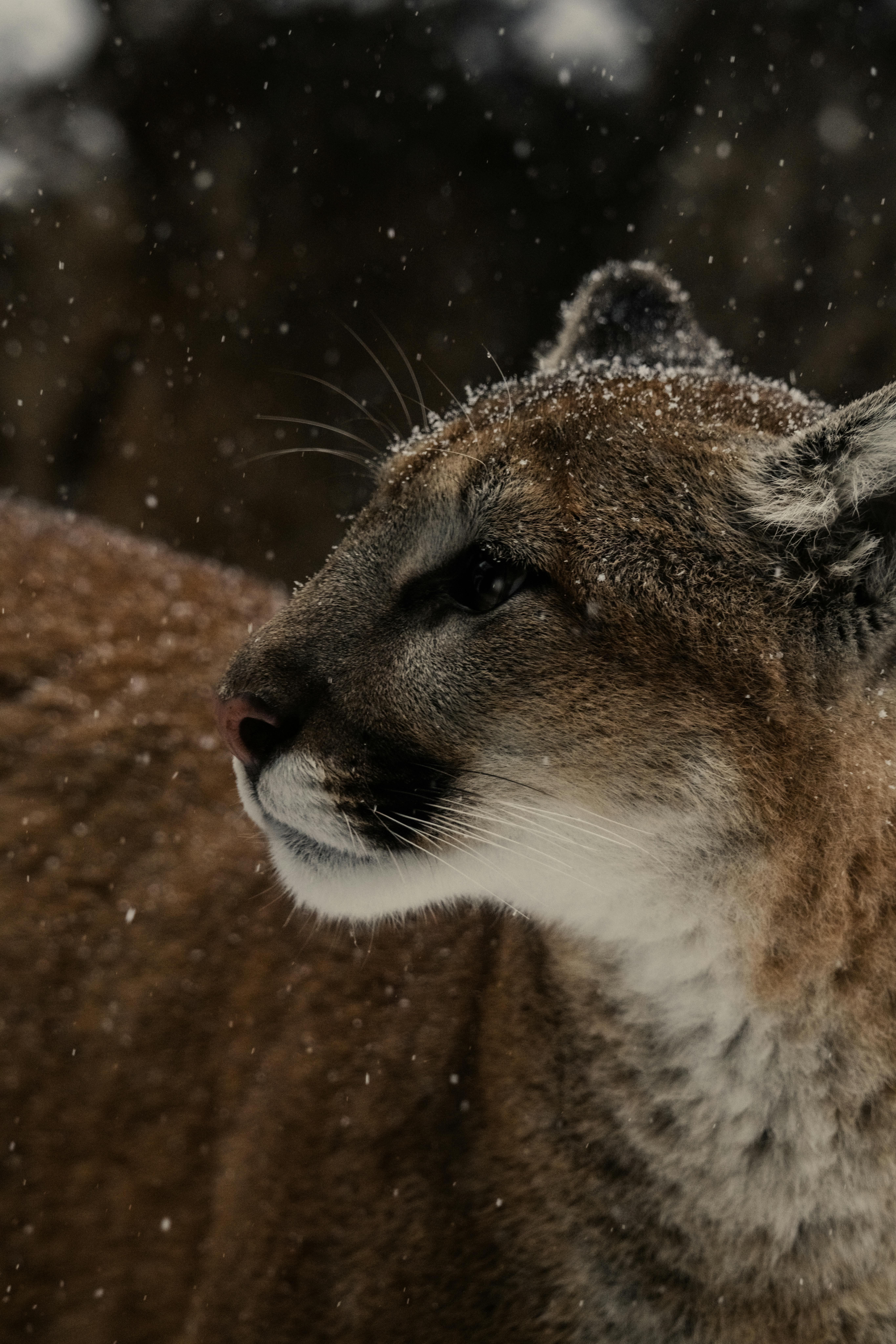 4k Curse Wallpapers Pc Photos, Download The BEST Free 4k Curse ...