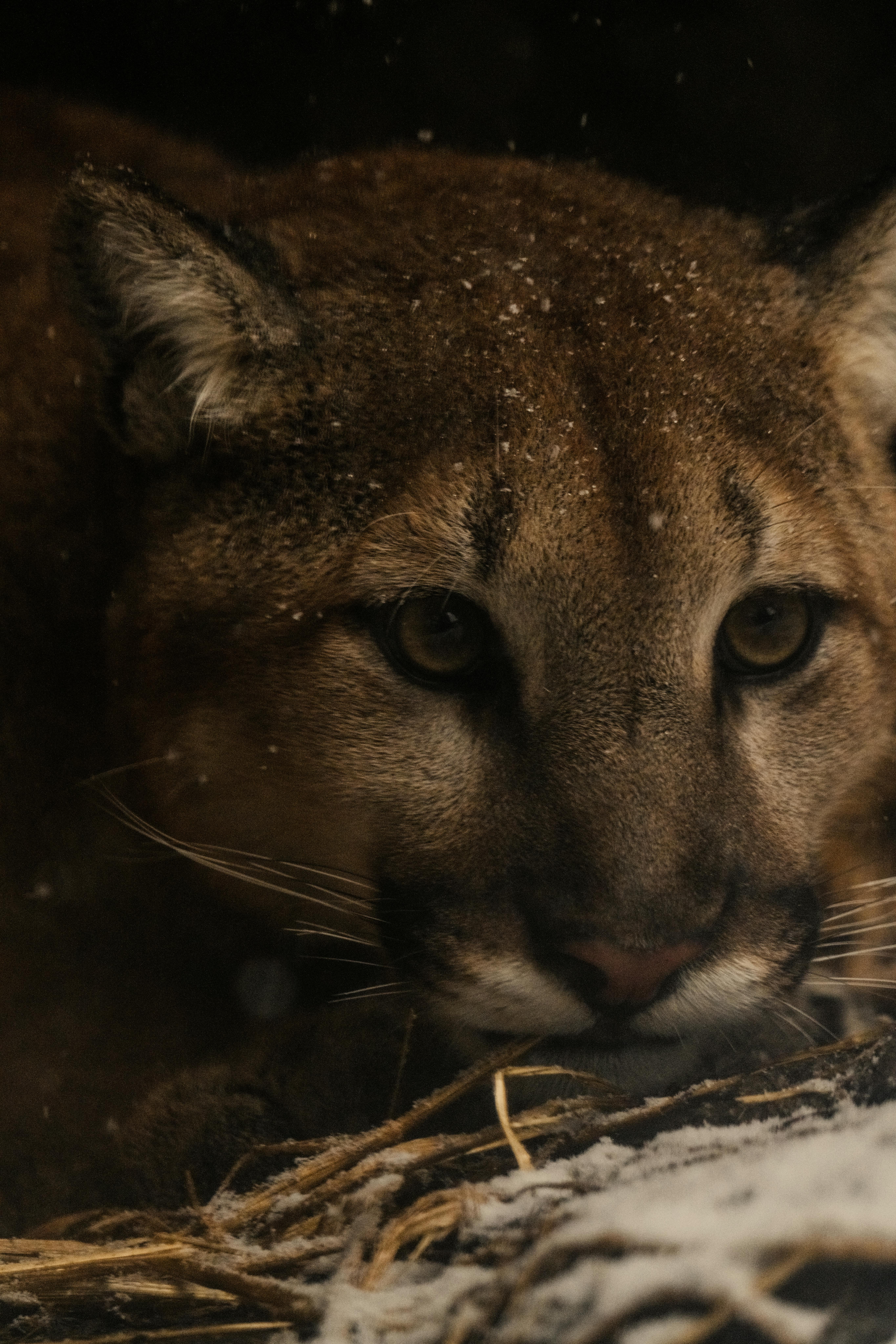 Marvel Wallpapers For Pc Photos, Download The BEST Free Marvel ...