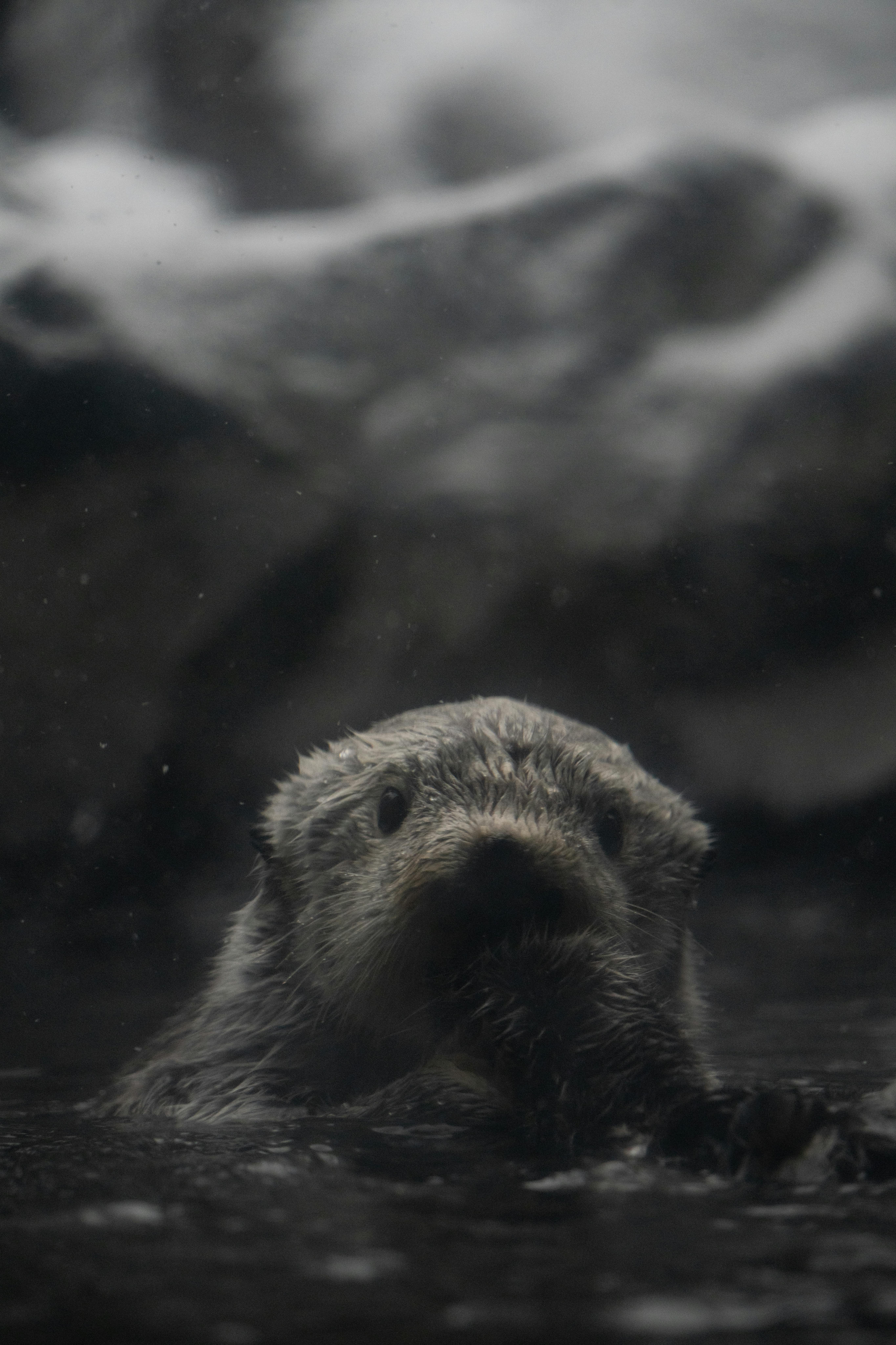 Wallpapers Slideshow Photos, Download The BEST Free Wallpapers ...