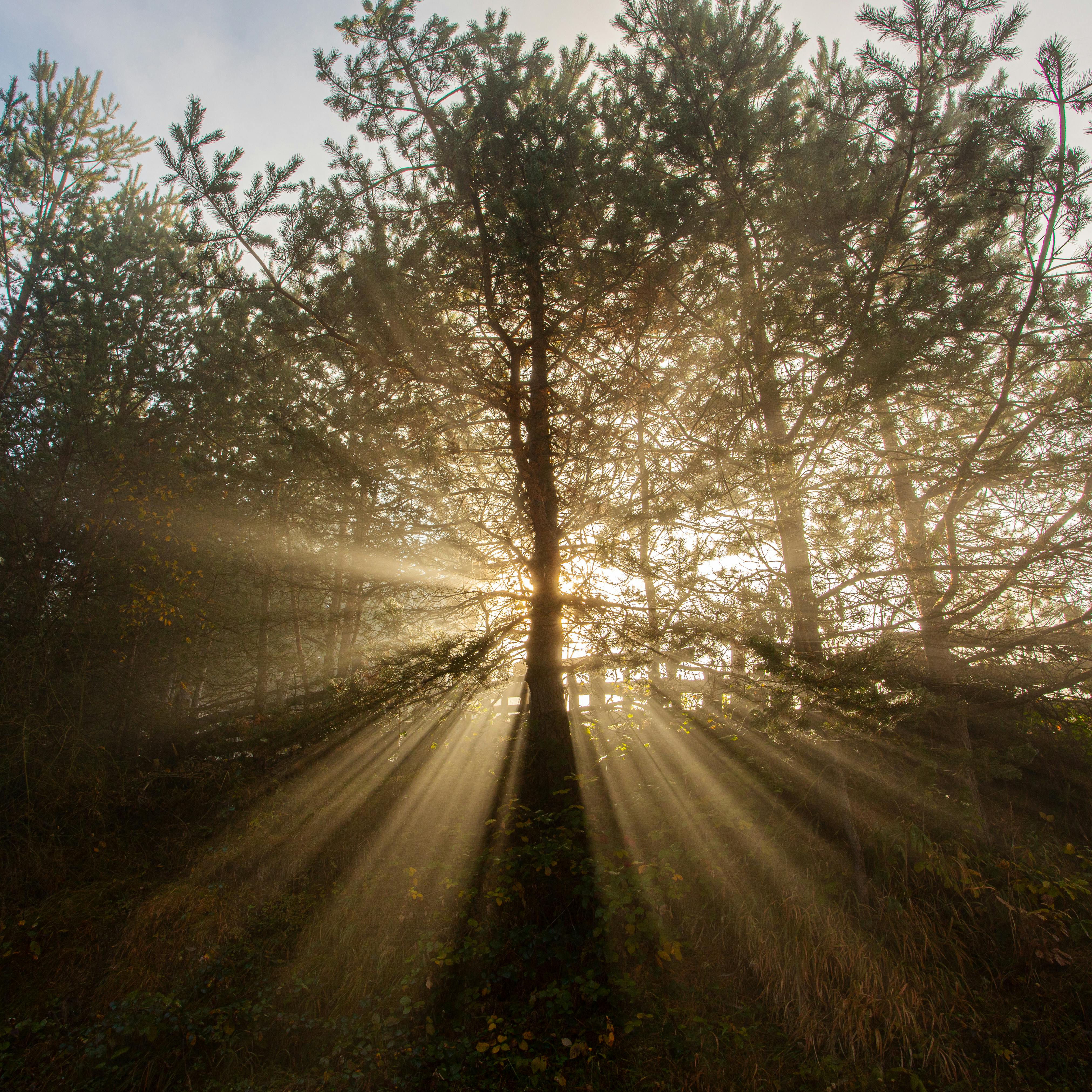 Beautiful+Orbeautifull Photos, Download The BEST Free Beautiful ...