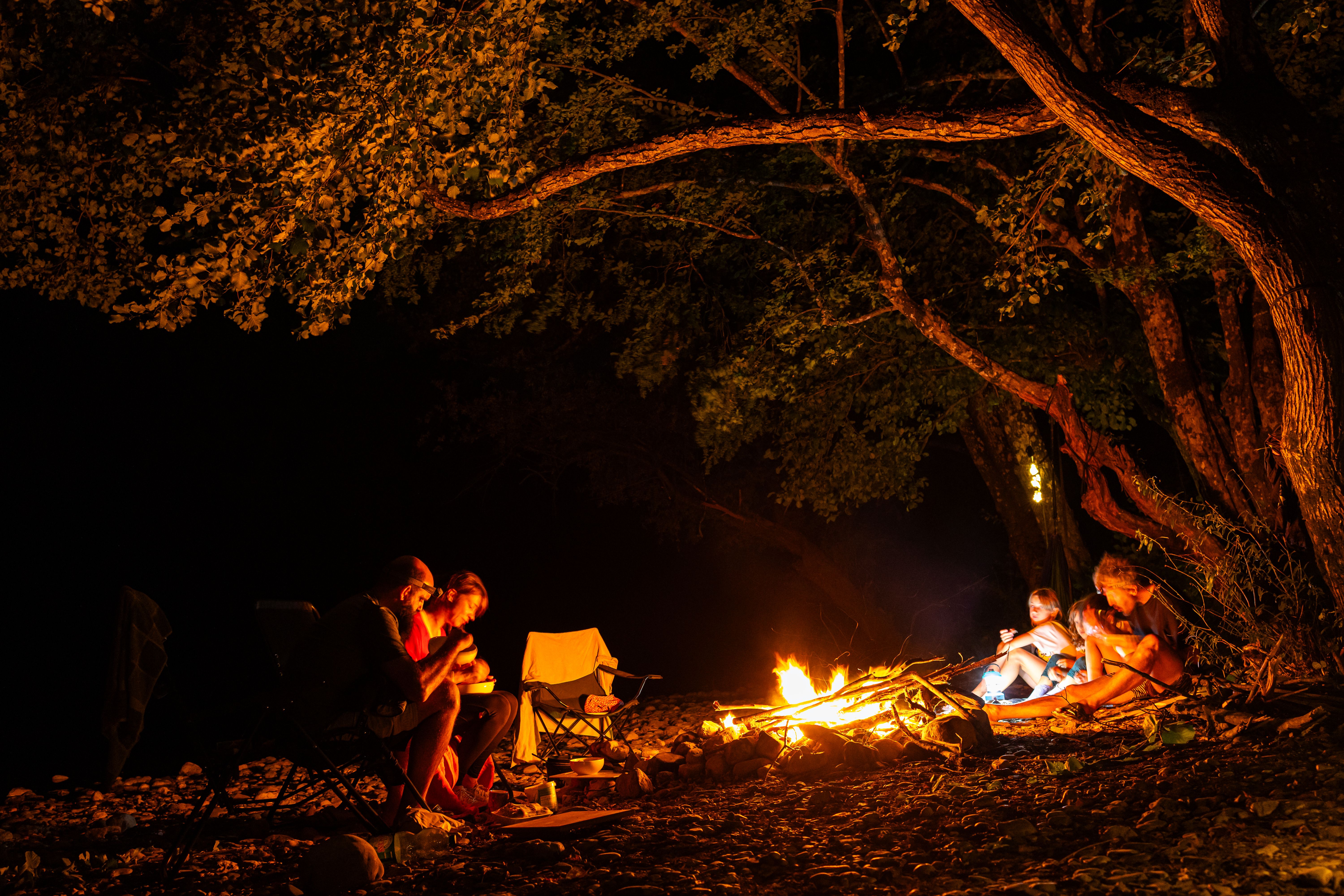 Cozy Nighttime Campfire Gathering Under Trees · Free Stock Photo