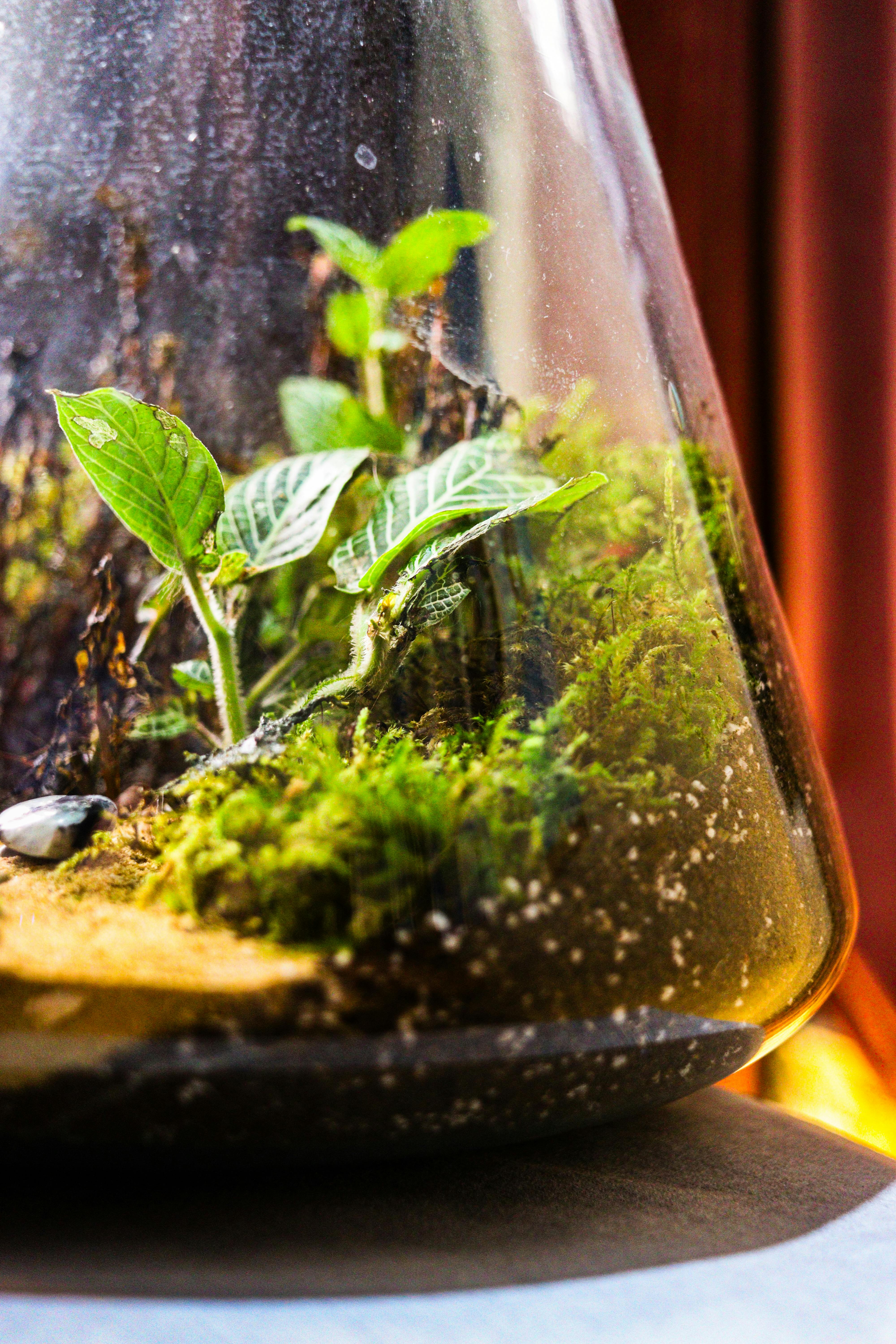 Scrolller+Micro+Bikini Photos, Download The BEST Free Scrolller+Micro ...