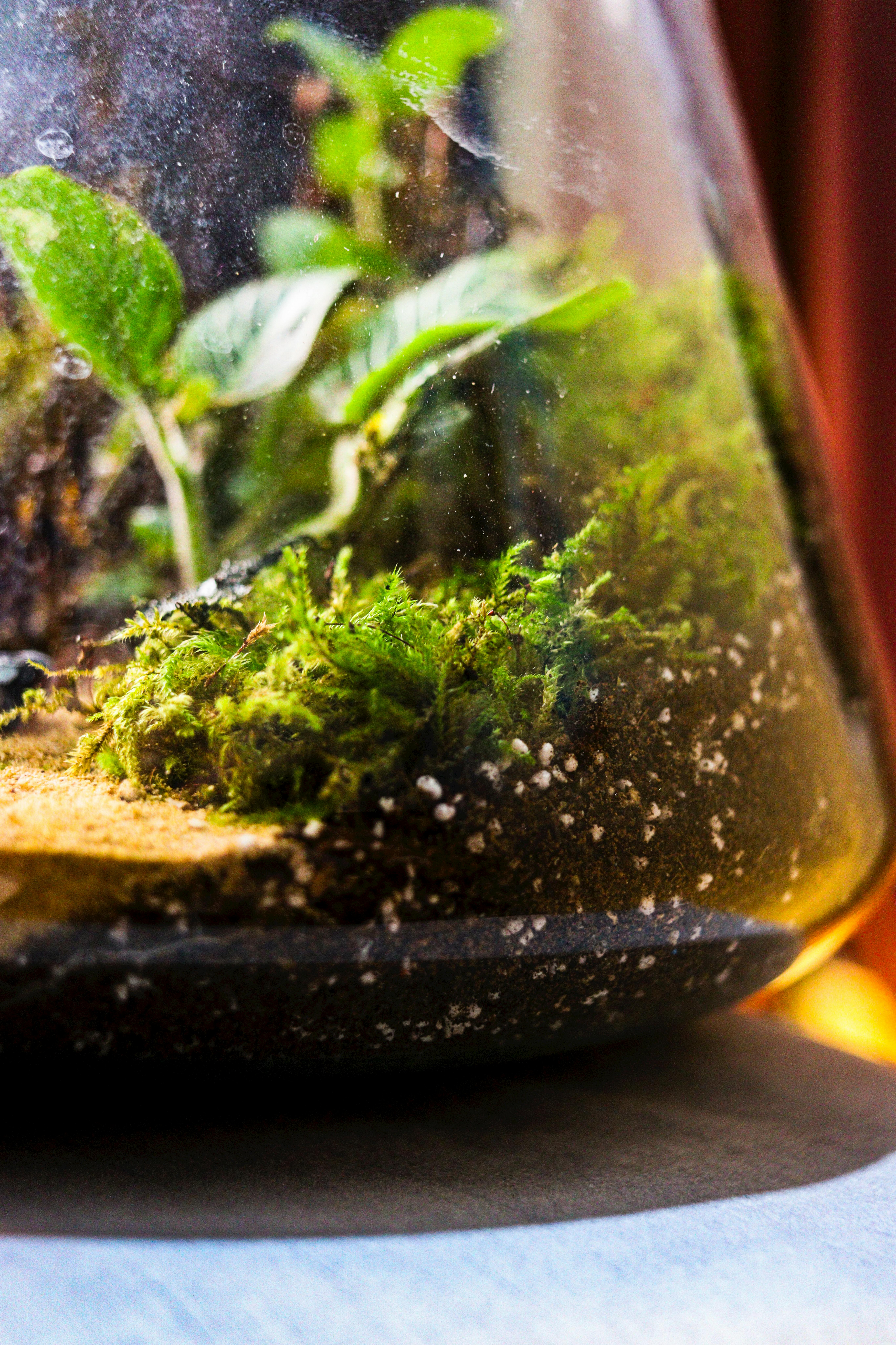 Scrolller+Micro+Bikini Photos, Download The BEST Free Scrolller+Micro+Bikini Stock Photos & HD ...