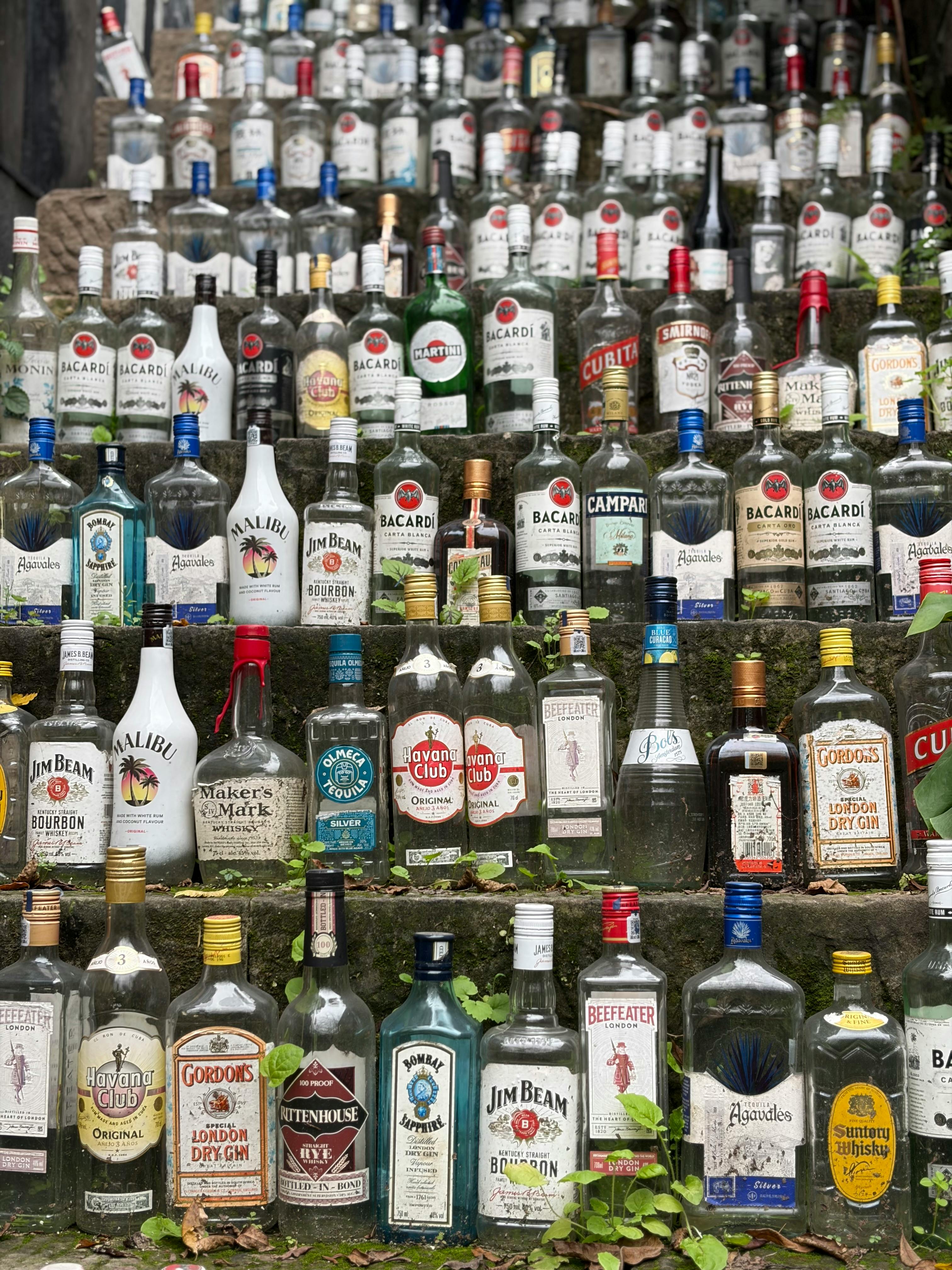 Free+Recipe+Maker Photos, Download The BEST Free Free+Recipe+Maker ...