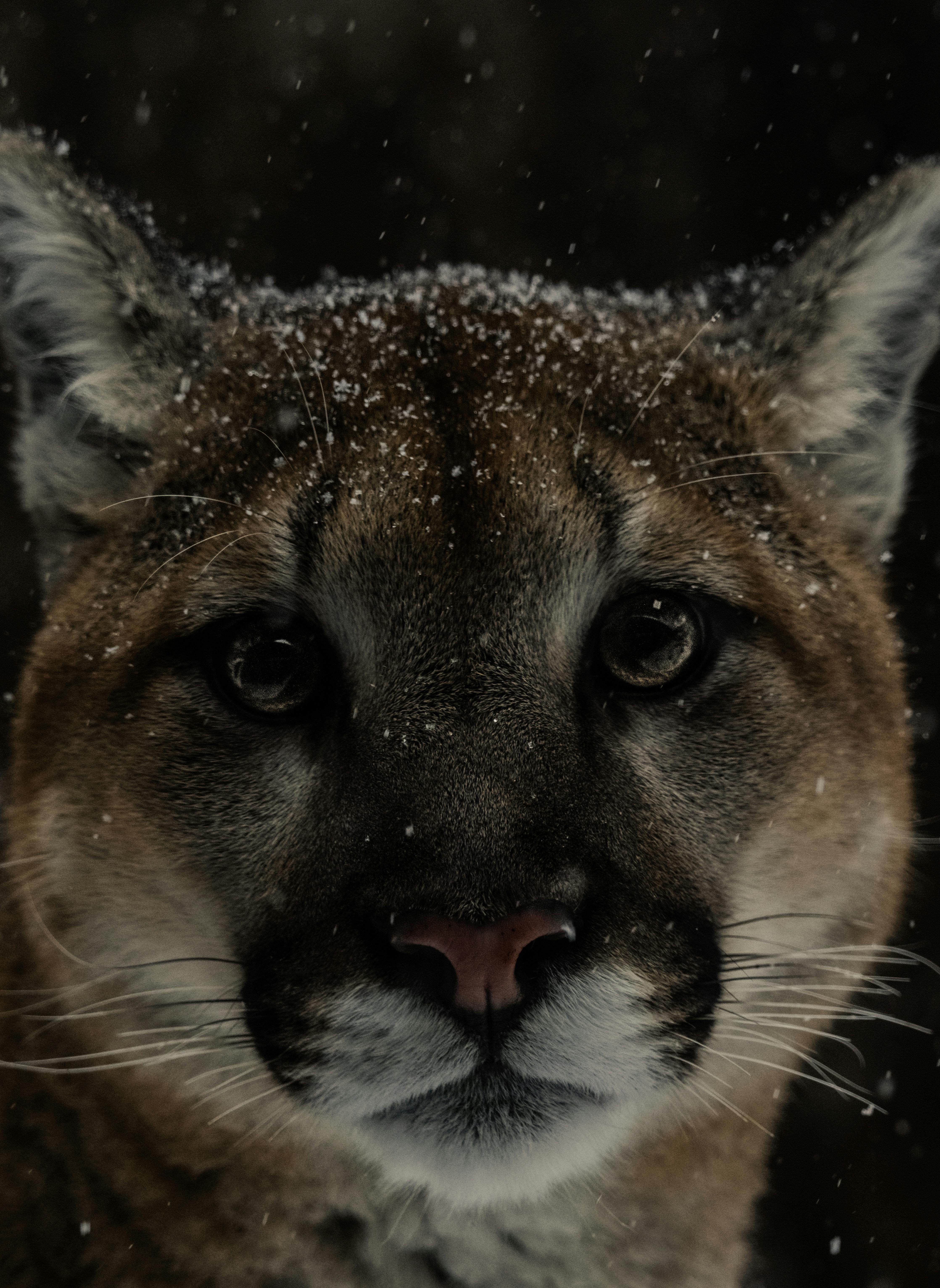 104.590+ Fotos y Imágenes de Cyber-security-wallpaper-for-laptop Gratis ...