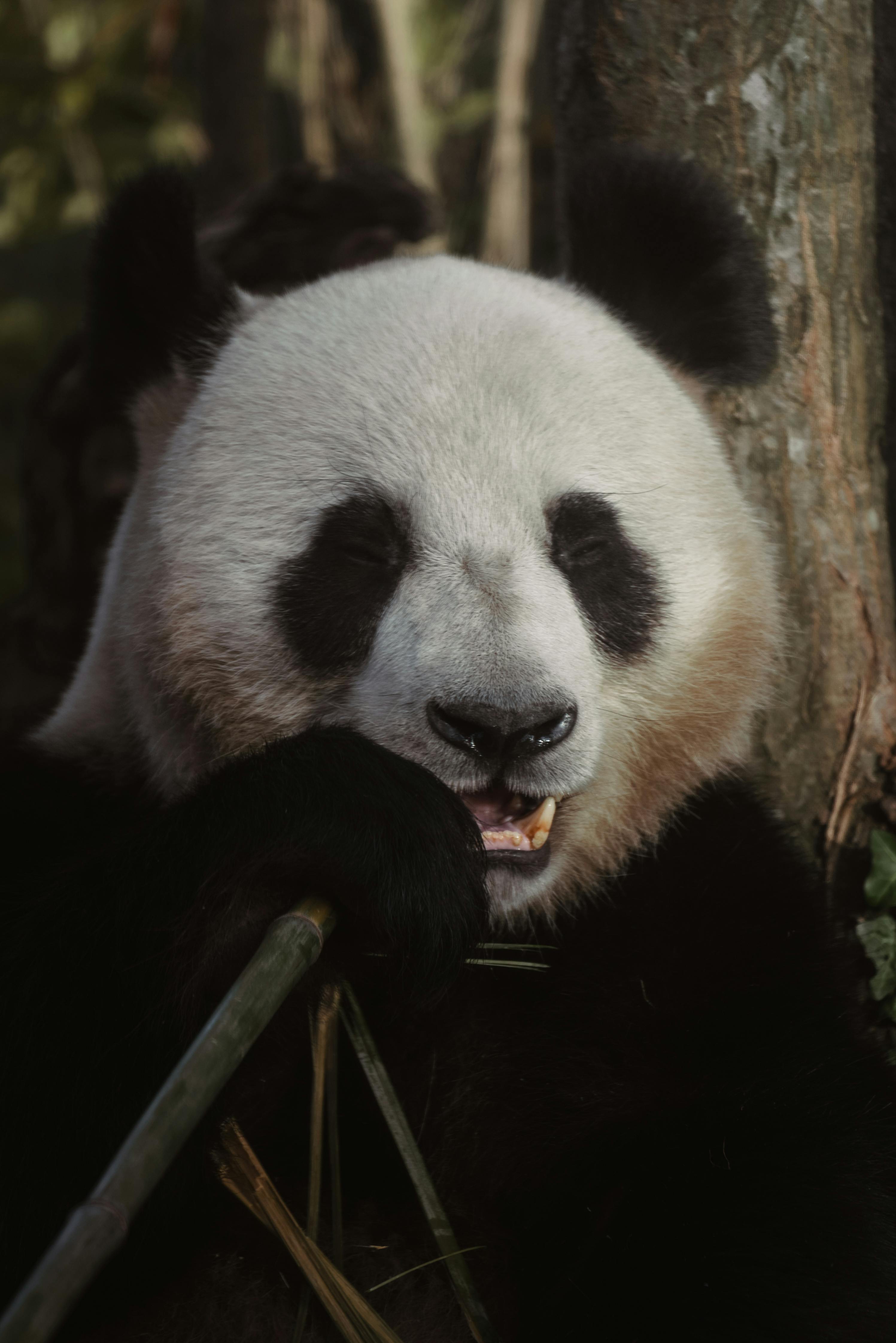 581,653+以上の無料Desktop backgrounds for lock screen画像