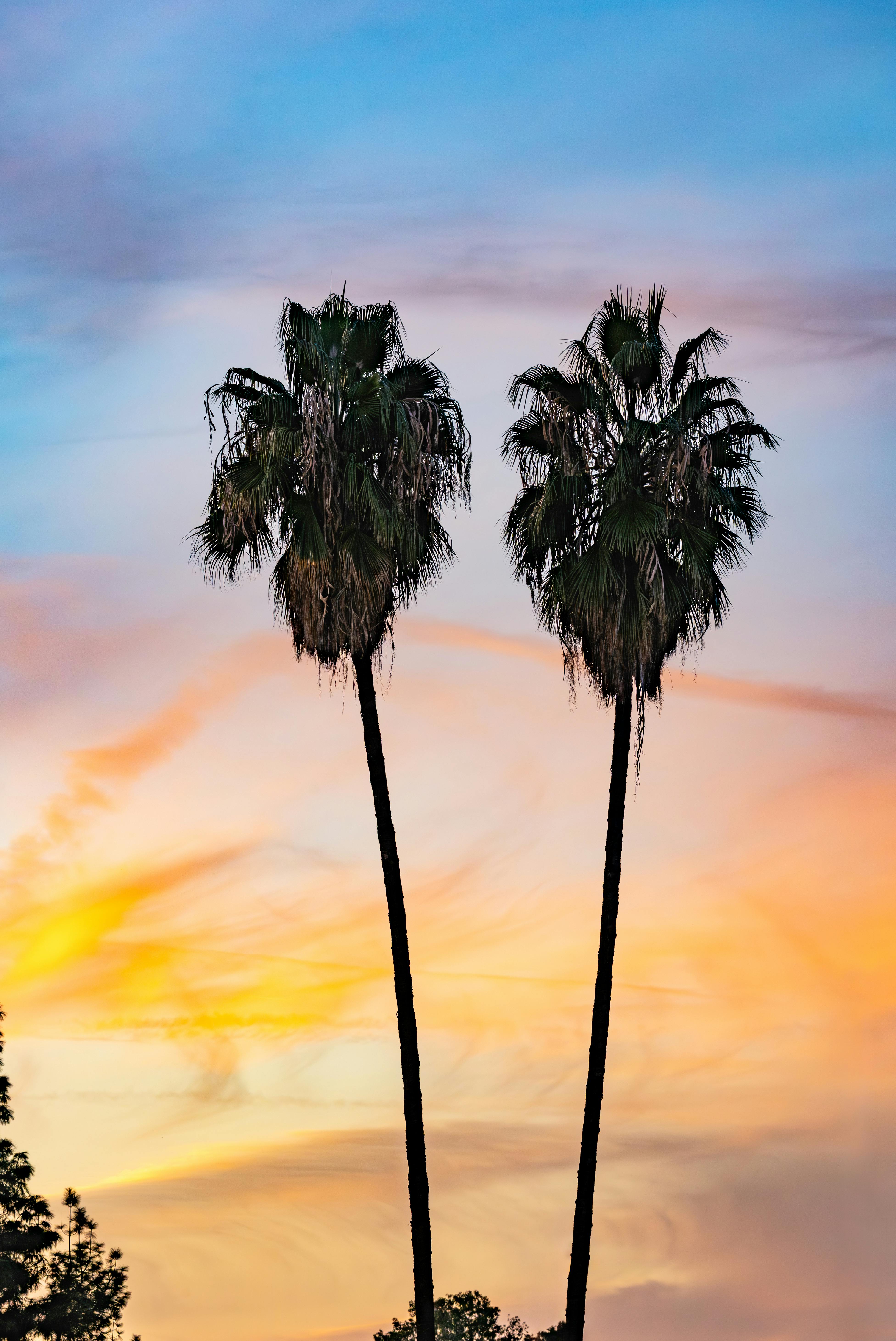 Photos+143+305*70 Photos, Download The BEST Free Photos+143+305*70 ...