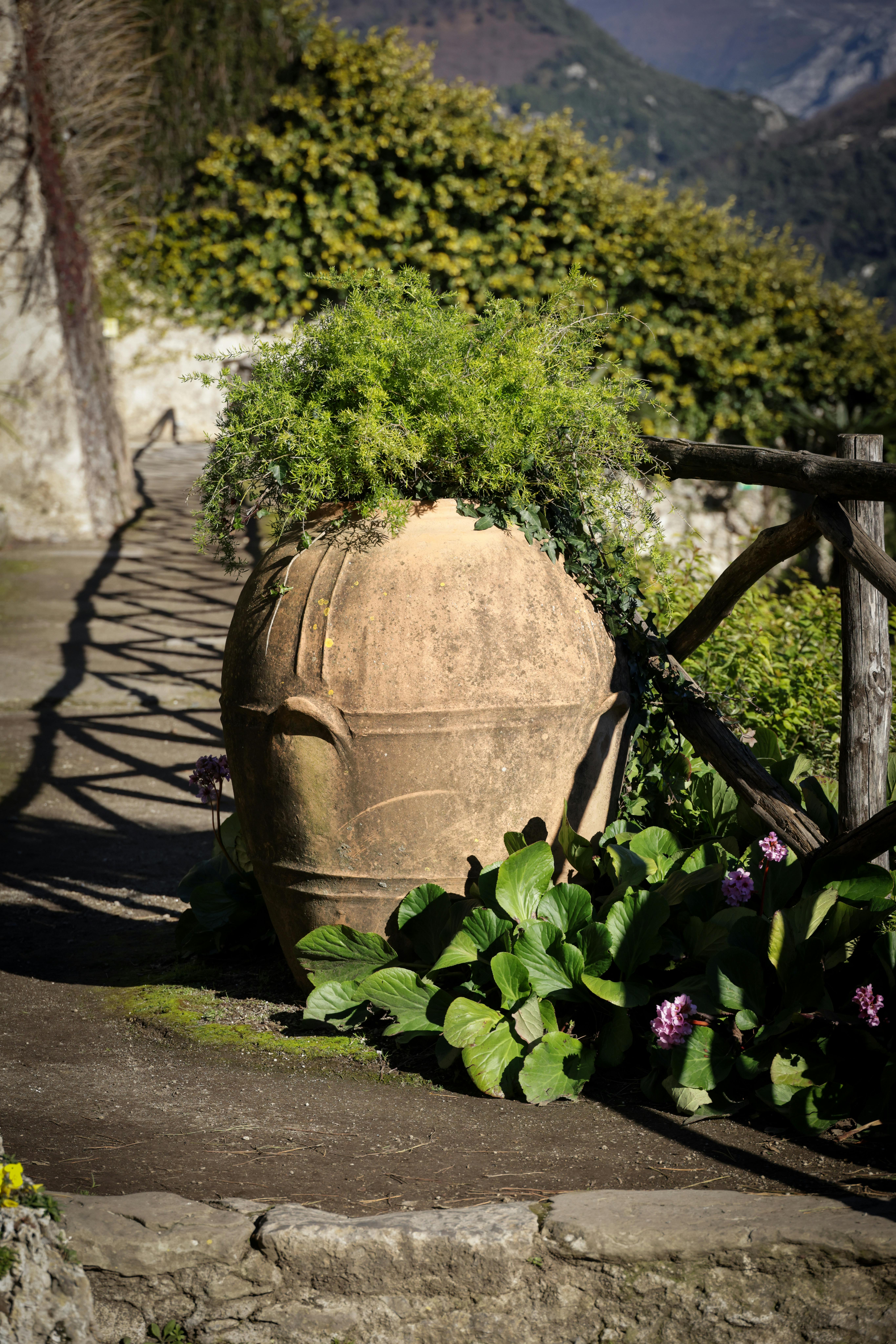 Rustic Terracotta Pot in Lush Garden Pathway · Free Stock Photo