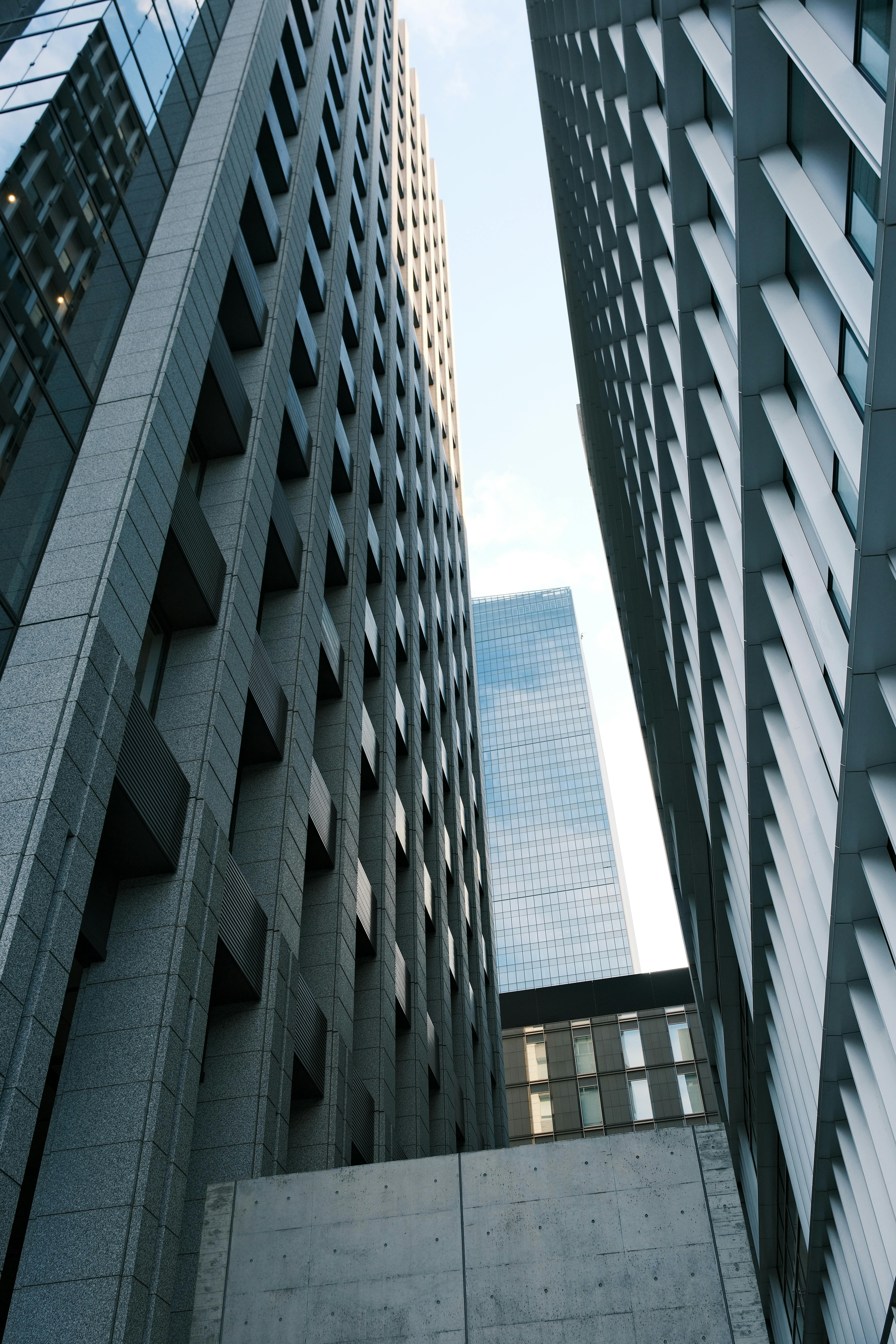 Photographer+Data+Center Photos, Download The BEST Free Photographer ...