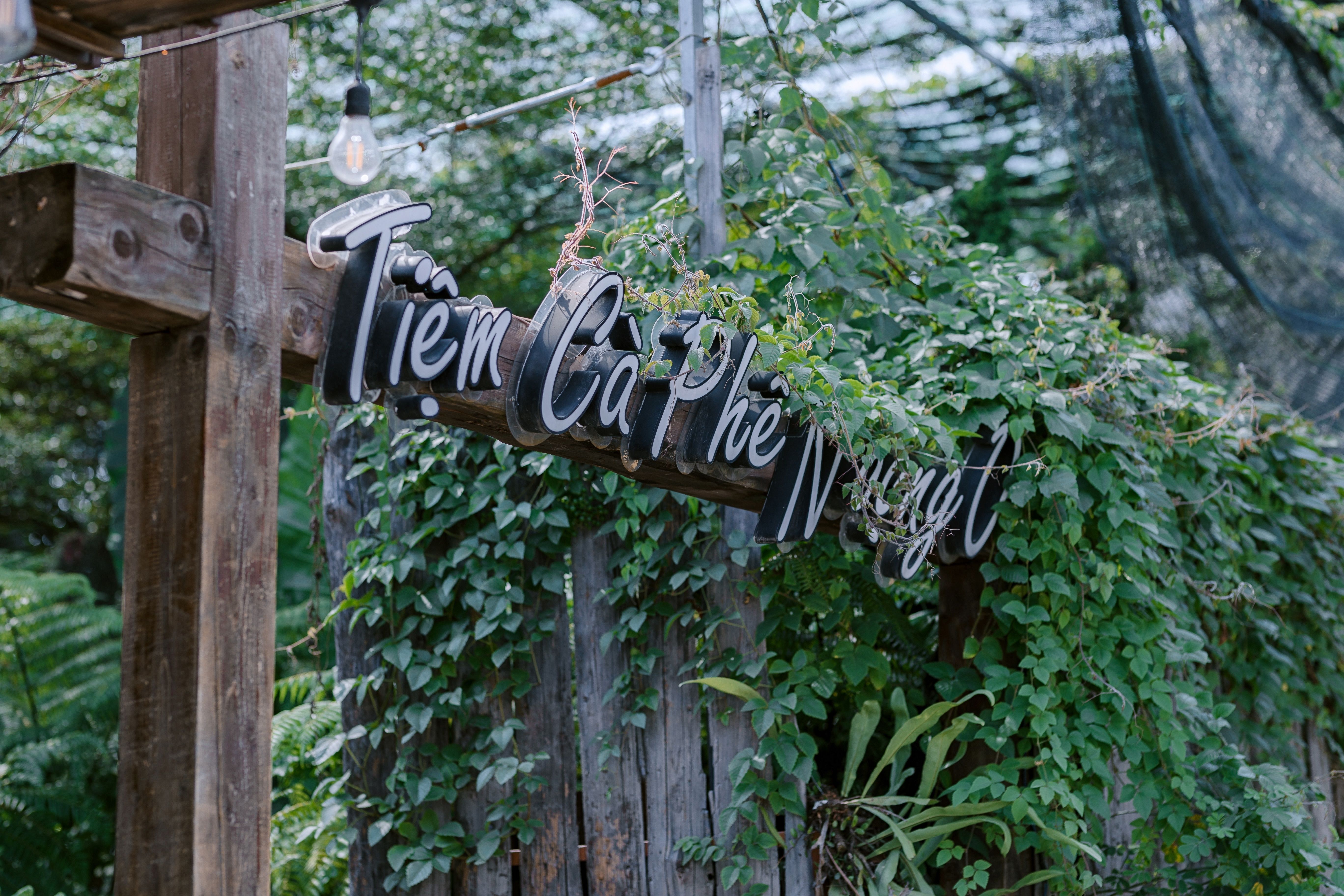 Rustic Café Sign with Lush Greenery Outdoors · Free Stock Photo