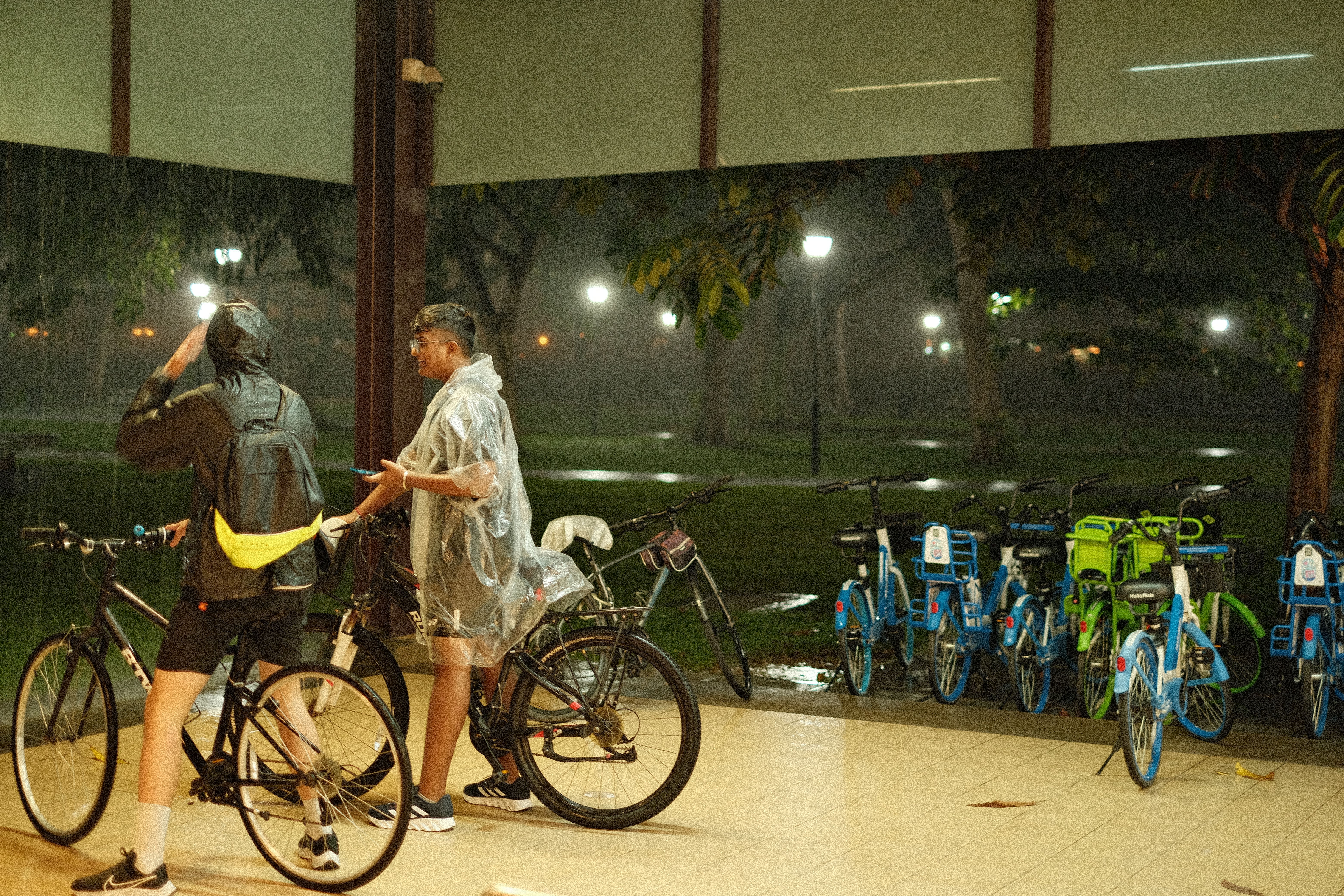 Bike Sharer Photos, Download The BEST Free Bike Sharer Stock Photos ...