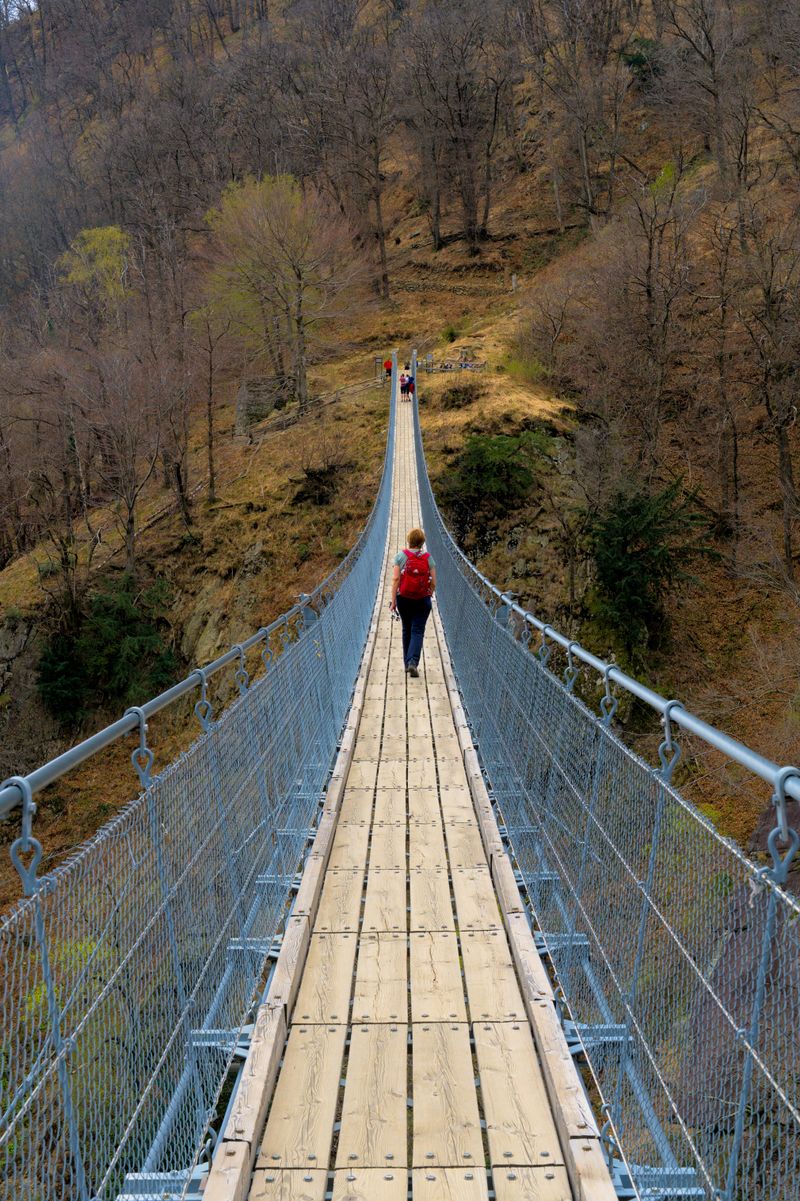 Suspension Bridge Photos, Download The BEST Free Suspension Bridge ...