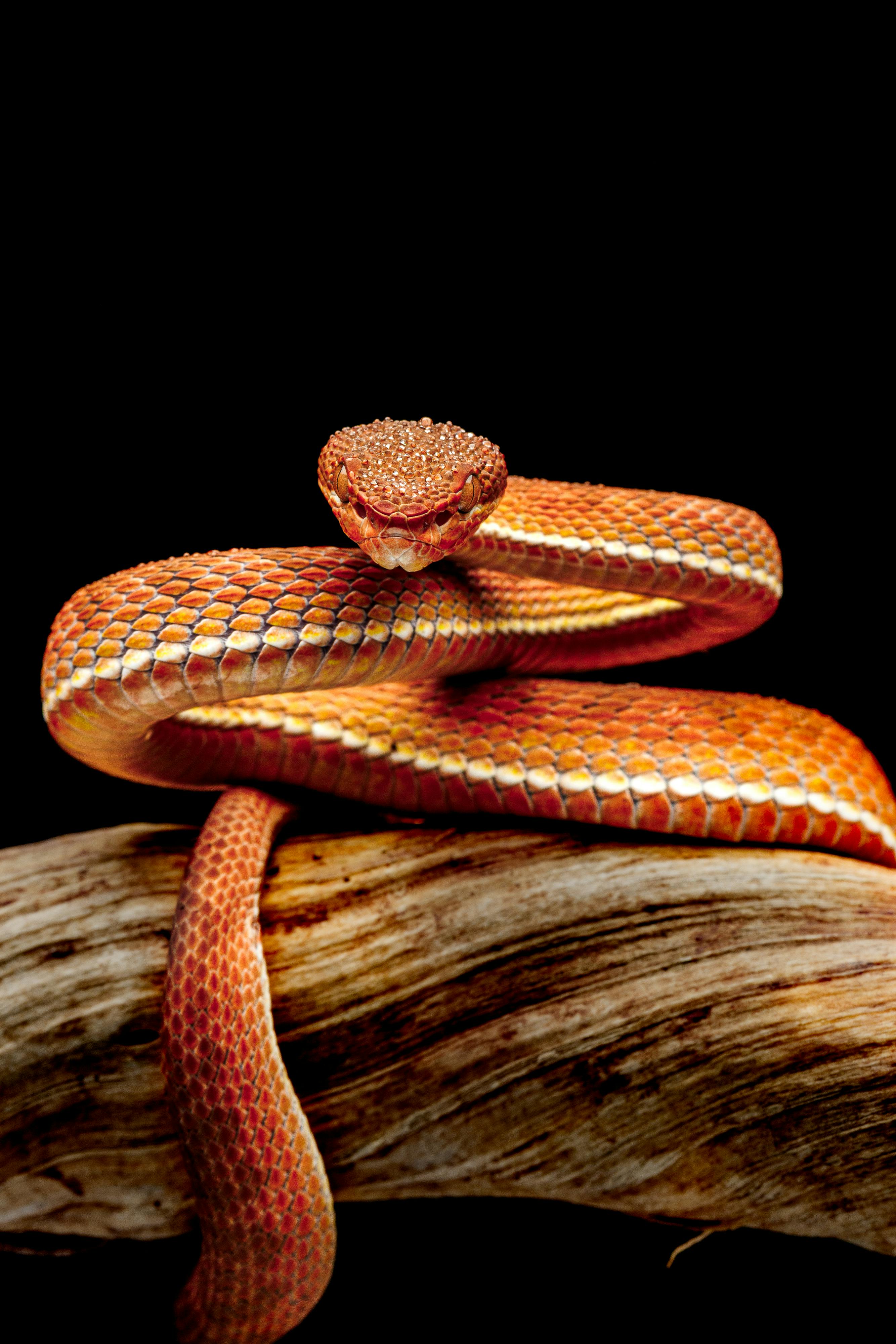 Step Up+Baixo Photos, Download The BEST Free Step Up+Baixo Stock Photos ...