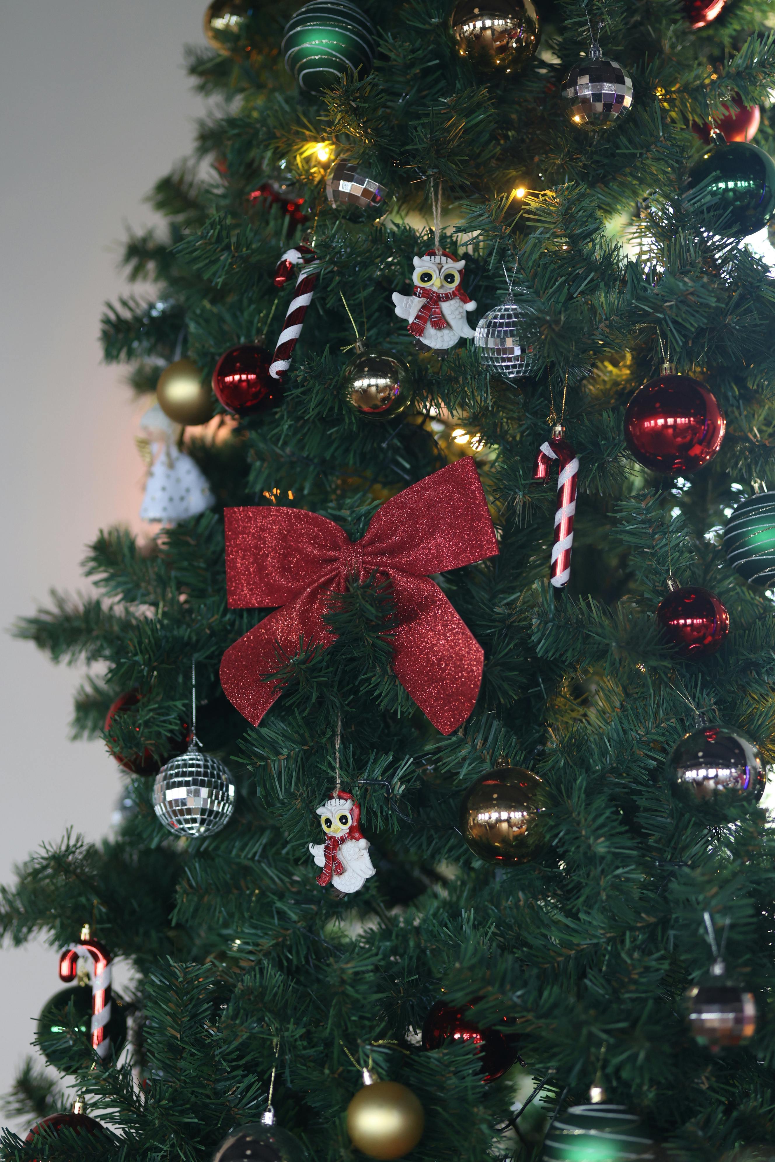 Kids Christmas Picture Santa Photos, Download The BEST Free Kids ...