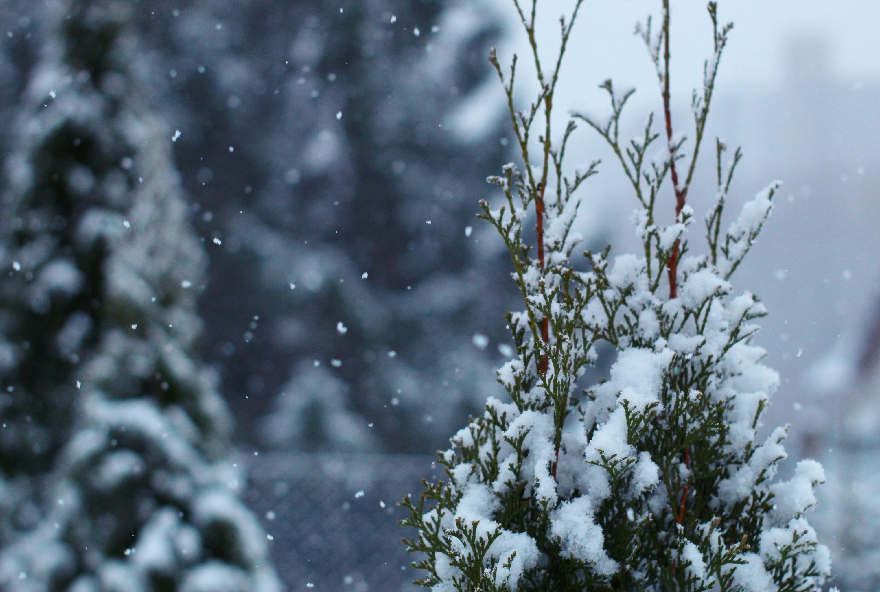 Weather+Radar+Function Photos, Download The BEST Free Weather+Radar ...