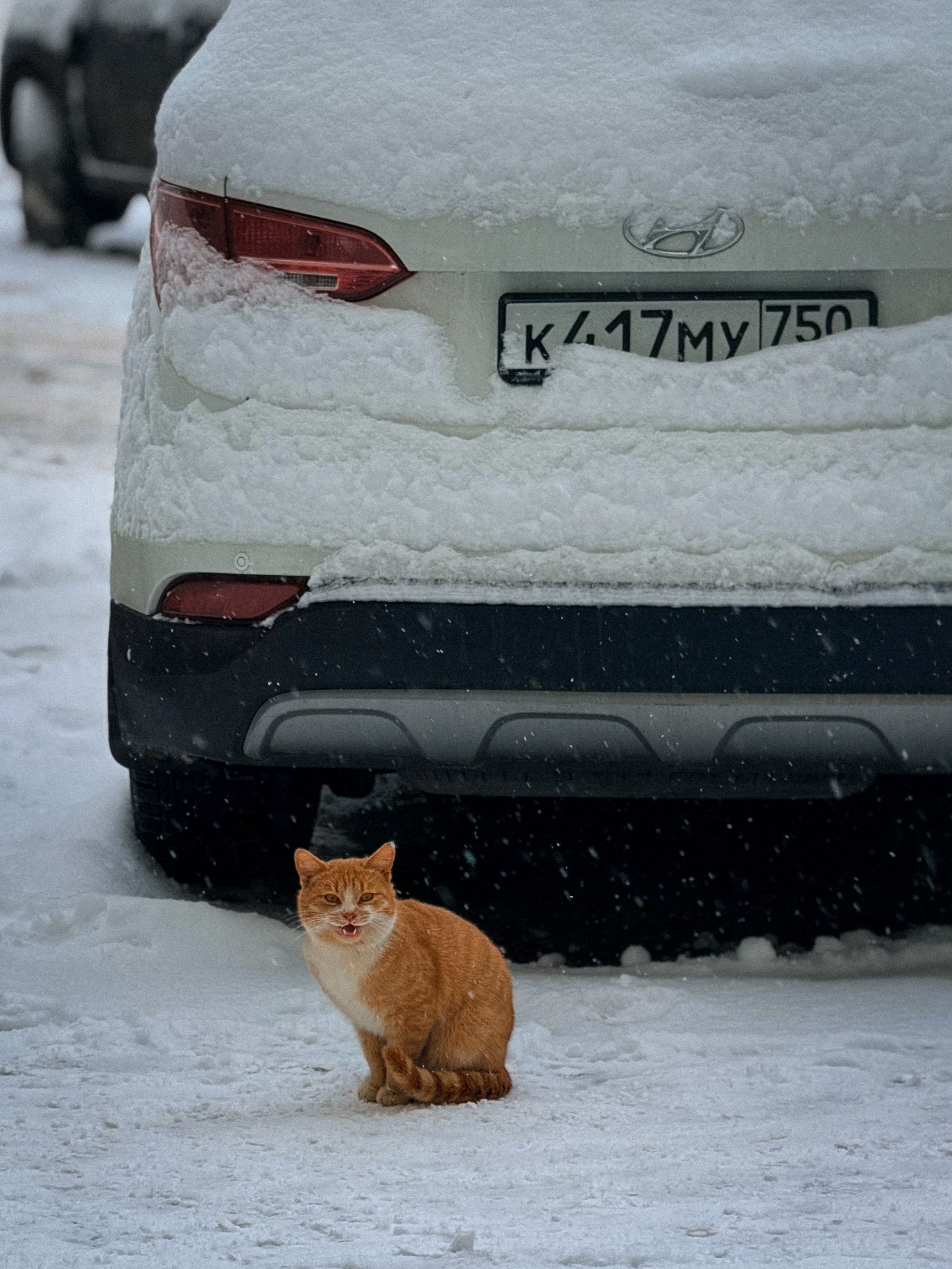 Hyundai Indie Photos, Download The BEST Free Hyundai Indie Stock Photos ...