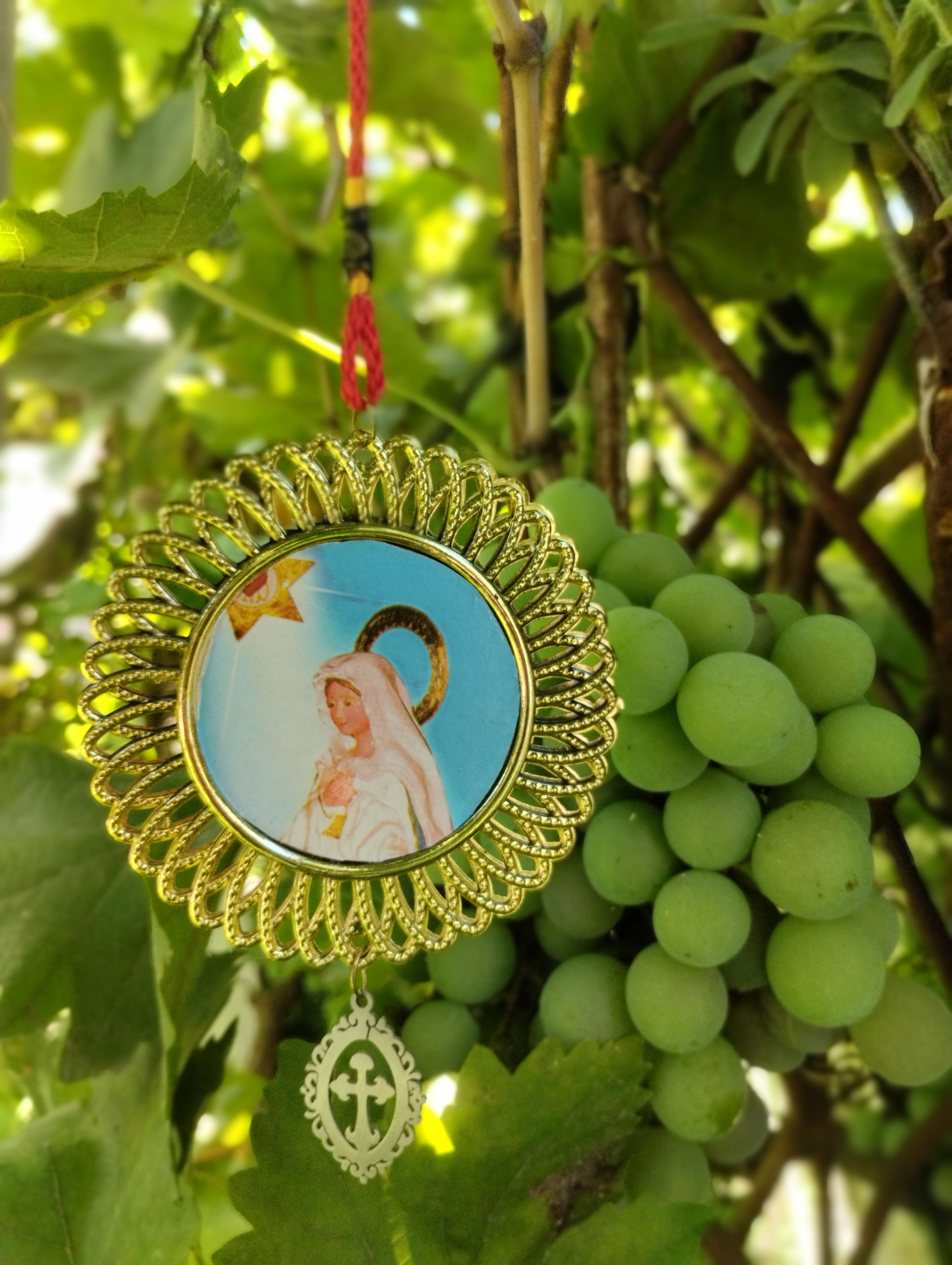 Ornate Religious Medallion Hanging in Vineyard · Free Stock Photo
