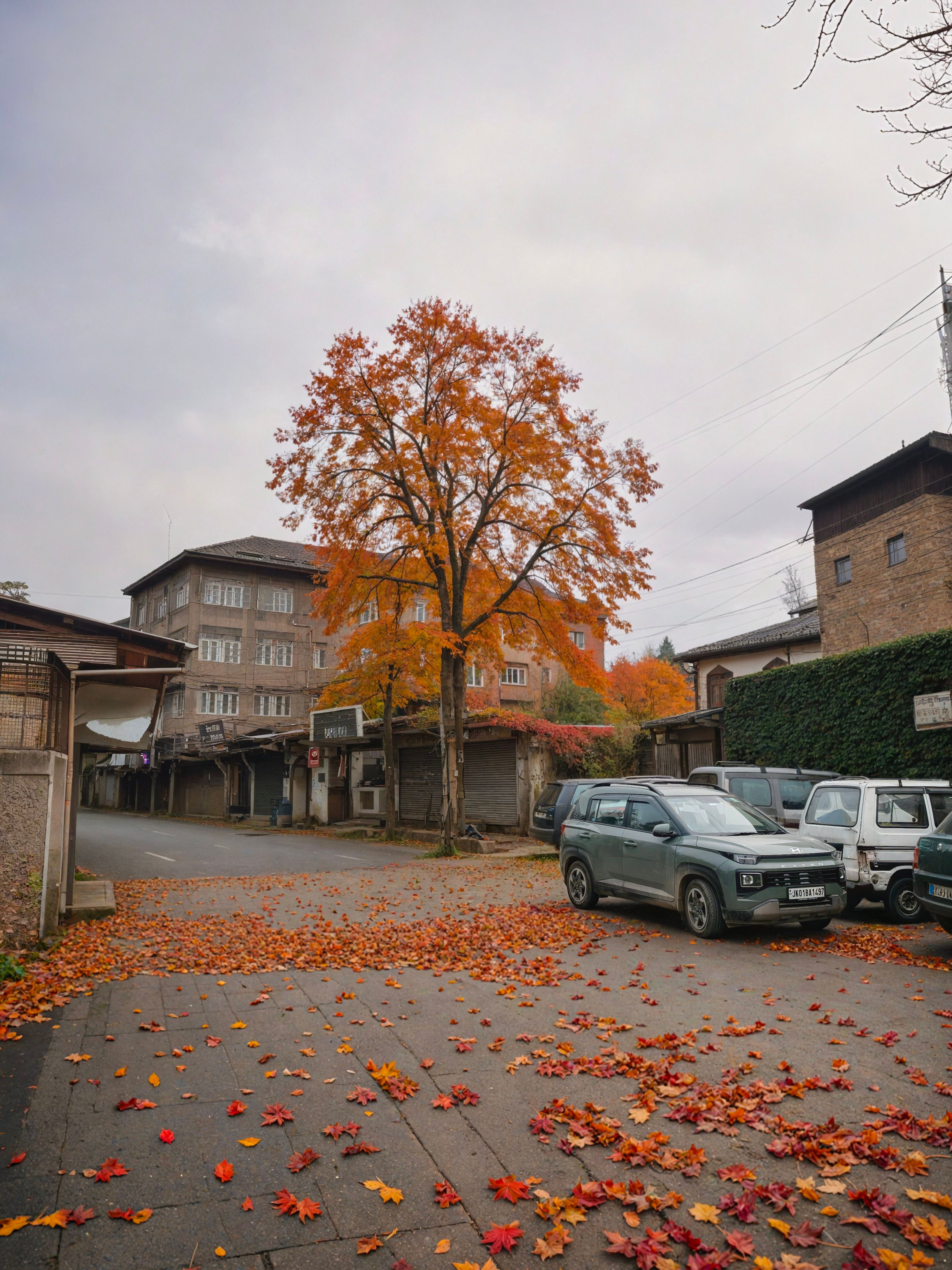 Autumn Serenity in Srinagar Street Scene · Free Stock Photo