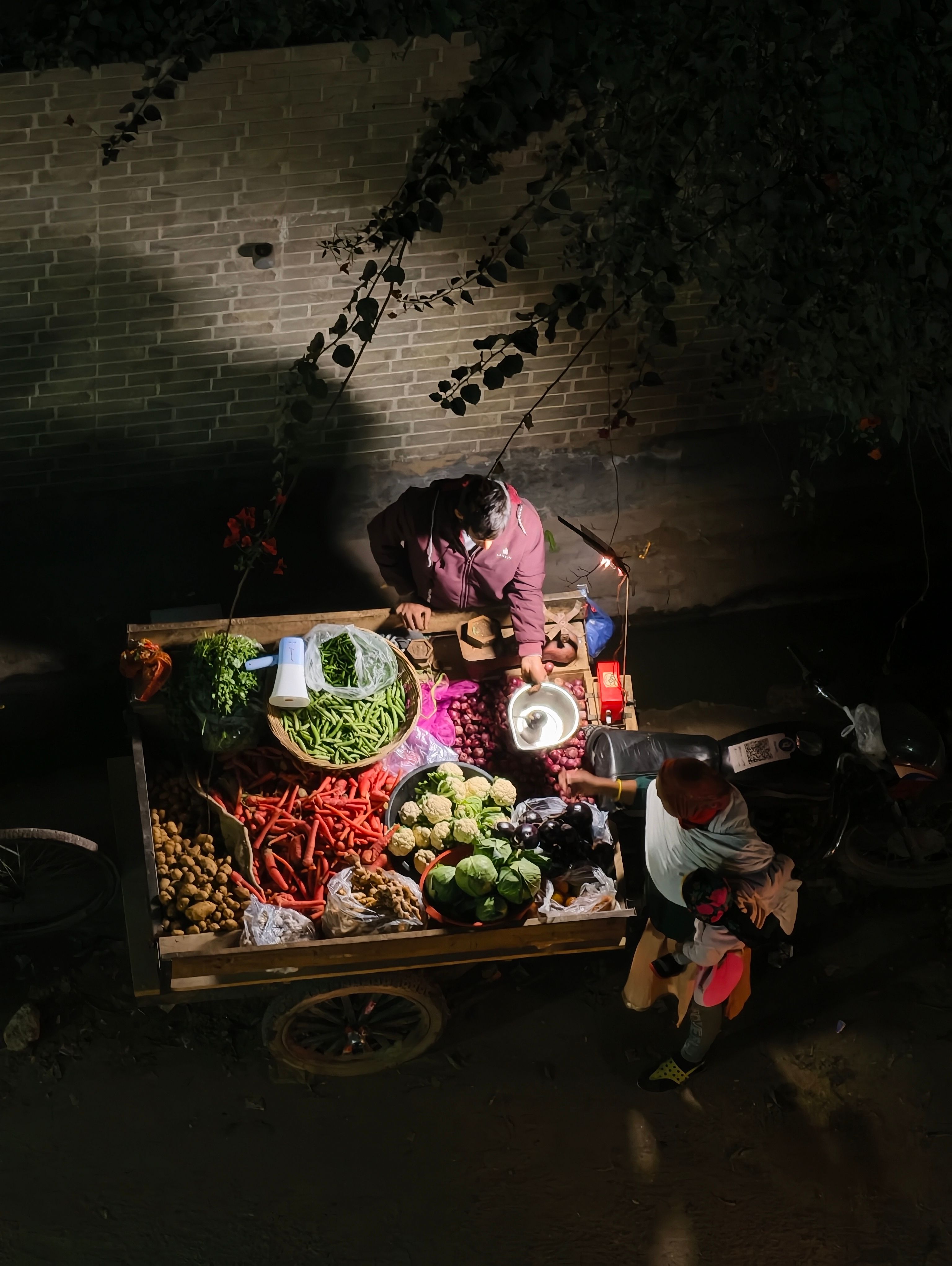 Selle Teren Photos, Download The BEST Free Selle Teren Stock Photos ...