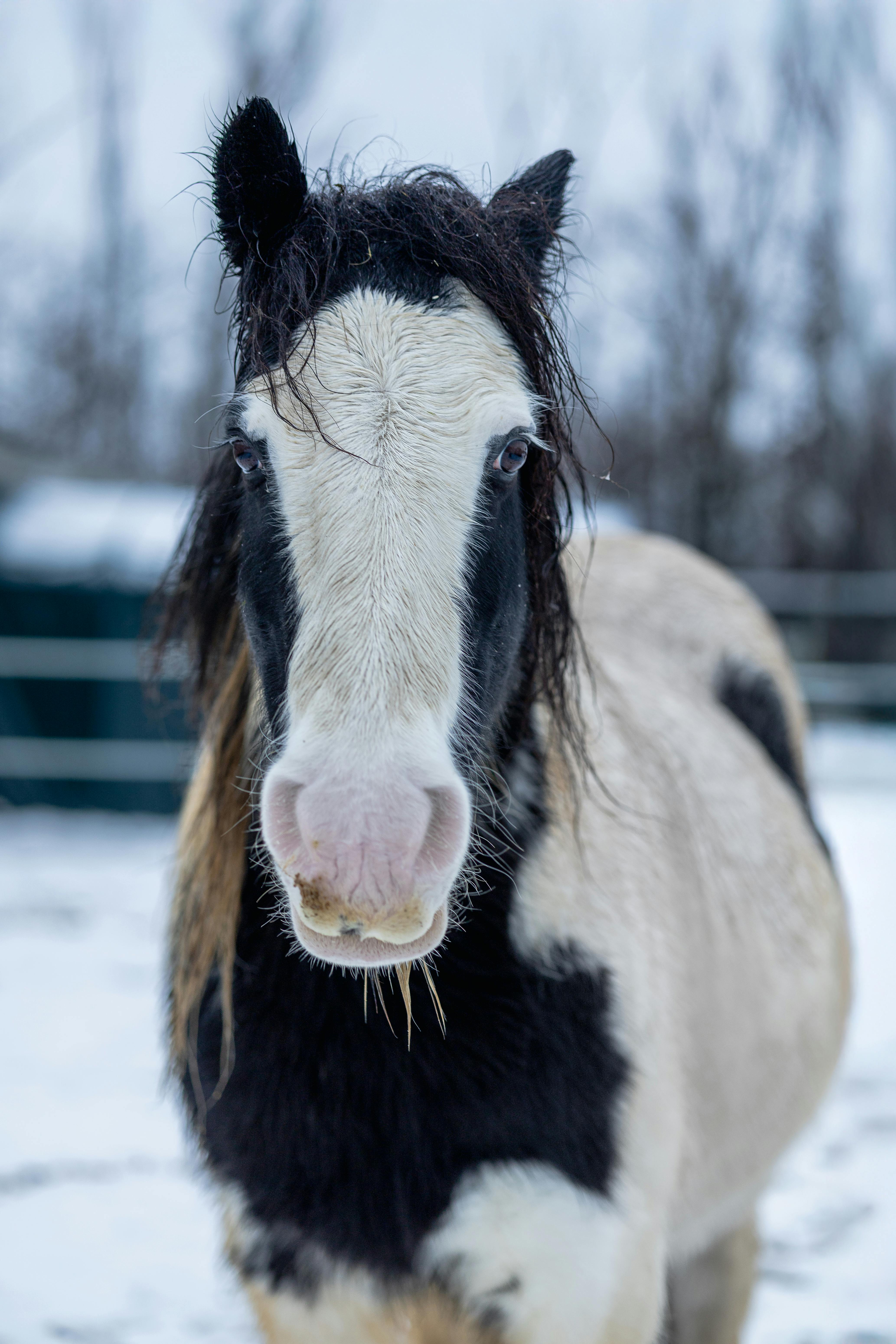 Web+Camera+ Hd Photos, Download The BEST Free Web+Camera+ Hd Stock ...