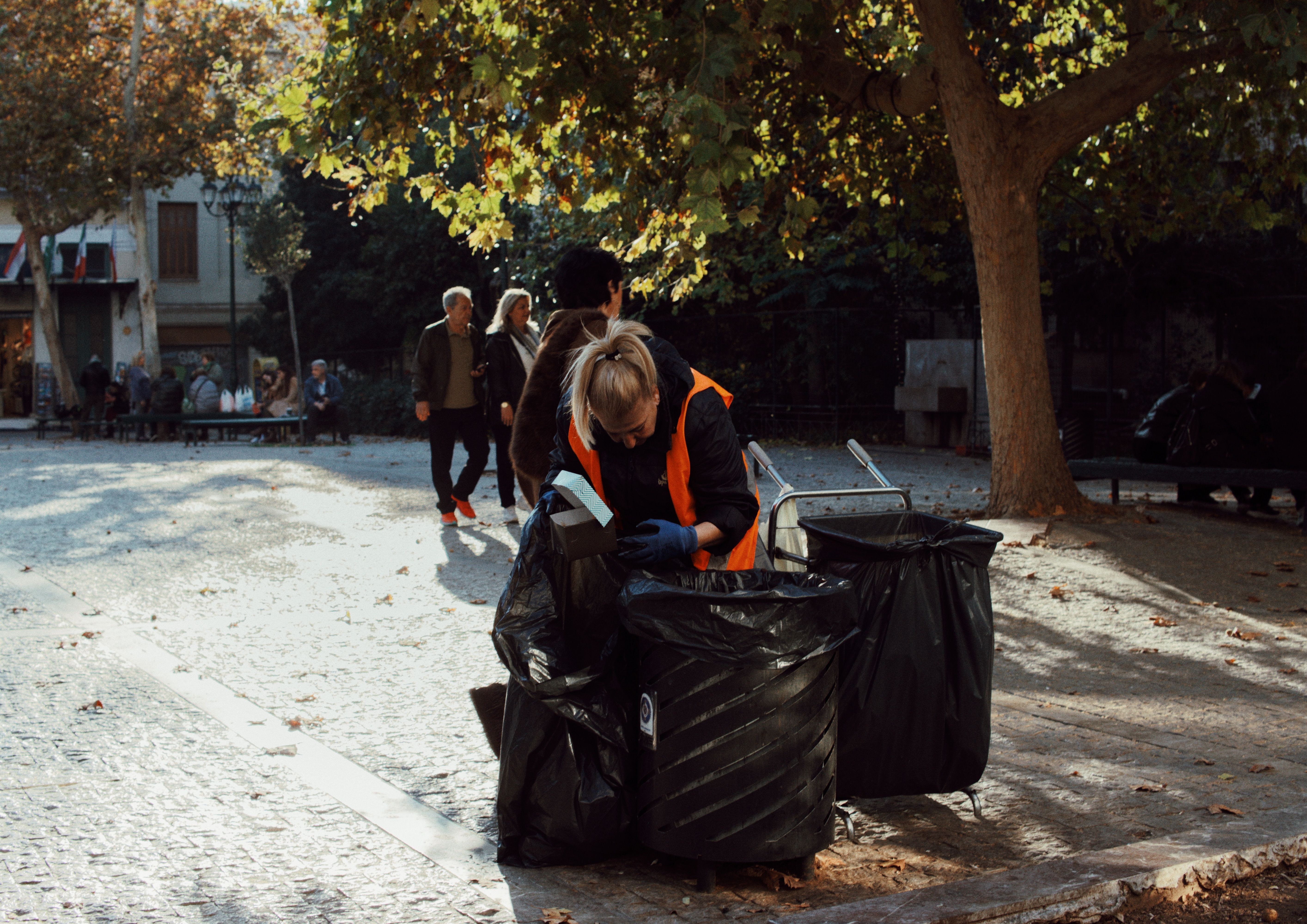 Garbage+Hound Photos, Download The BEST Free Garbage+Hound Stock Photos ...